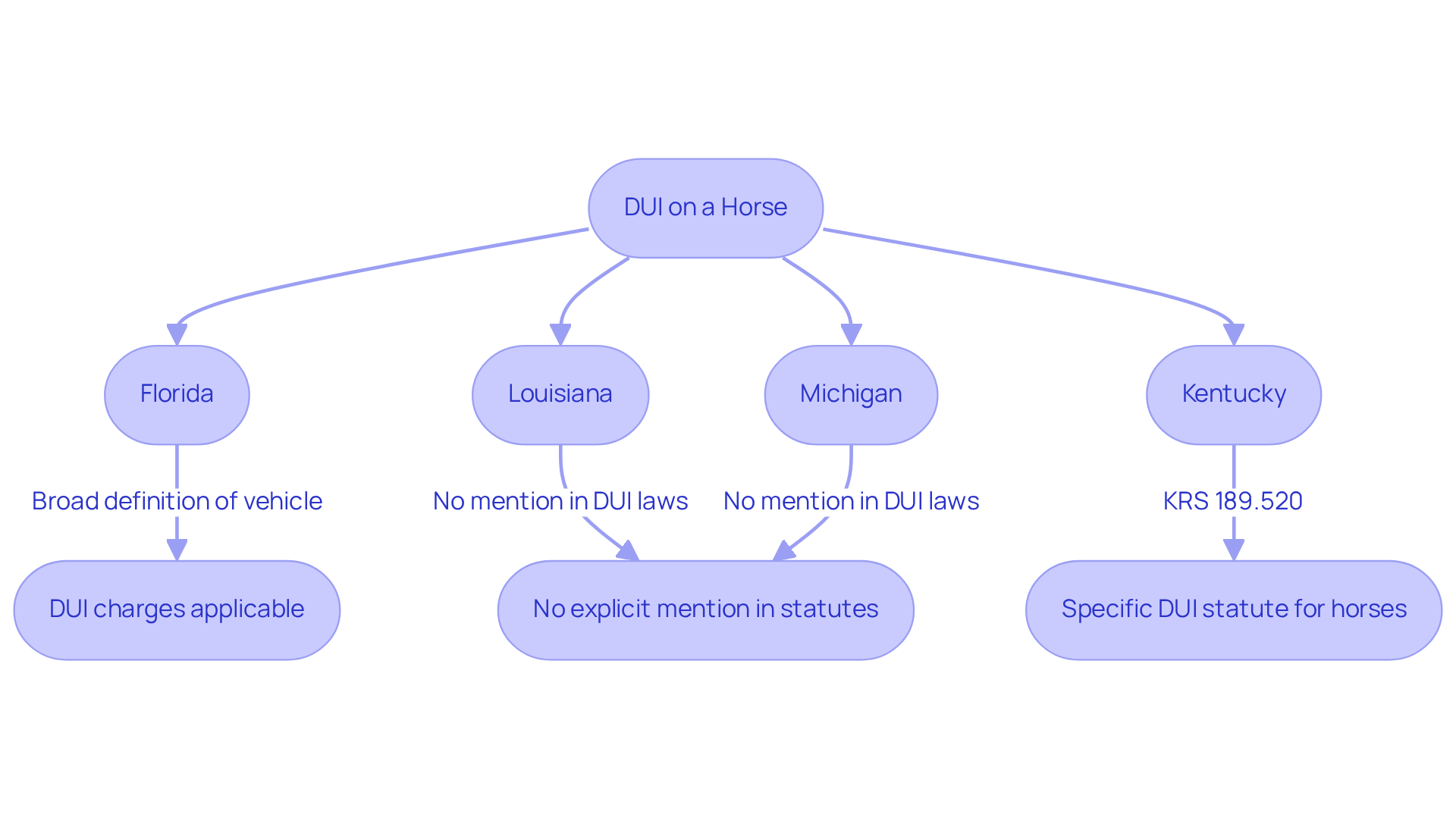 This flowchart helps you navigate the complex legal landscape of DUI laws related to horseback riding. Each box represents a state and its specific legal stance on DUI charges for equine operation. Follow the arrows to see how the laws differ and what implications they have for riders. This flowchart helps you navigate the complex legal landscape of DUI laws related to horseback riding. Each box represents a state and its specific legal stance on DUI charges for equine operation. Follow the arrows to see how the laws differ and what implications they have for riders.