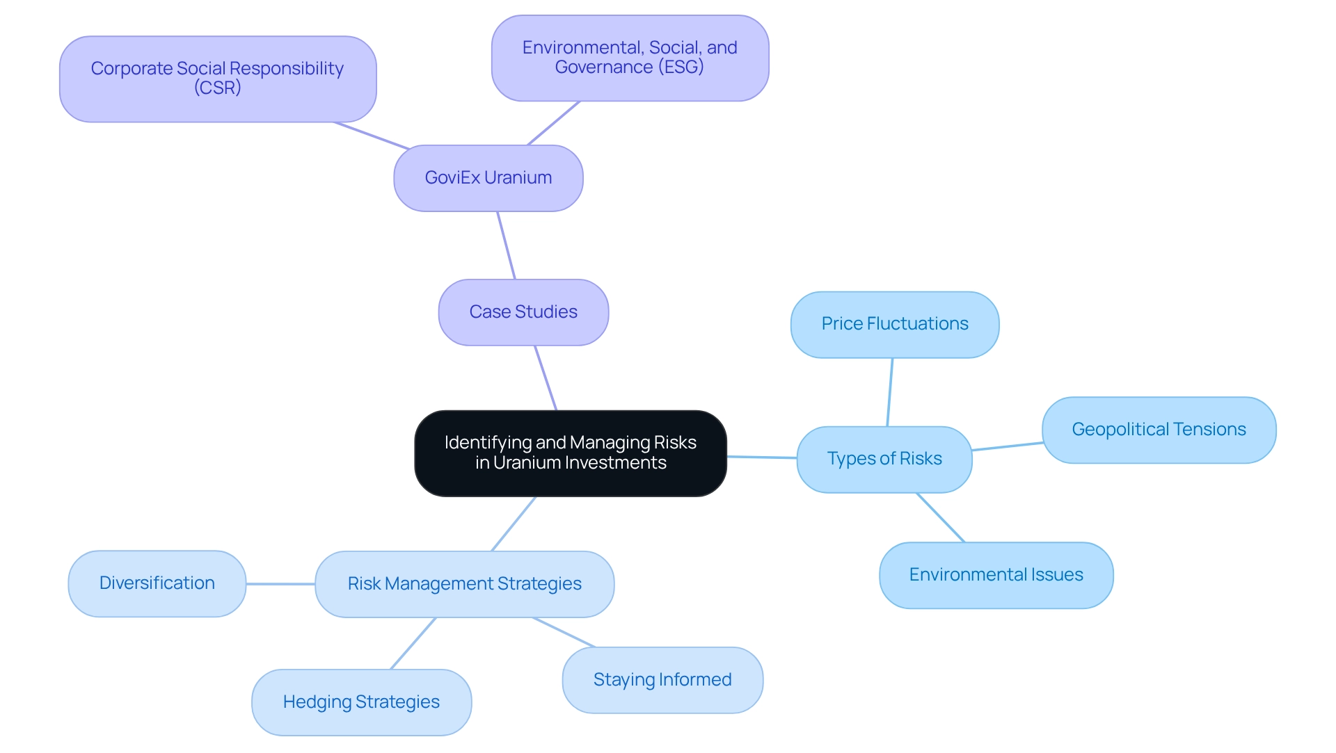 The central node represents the overarching theme, with branches indicating types of risks, management strategies, and case studies of companies.