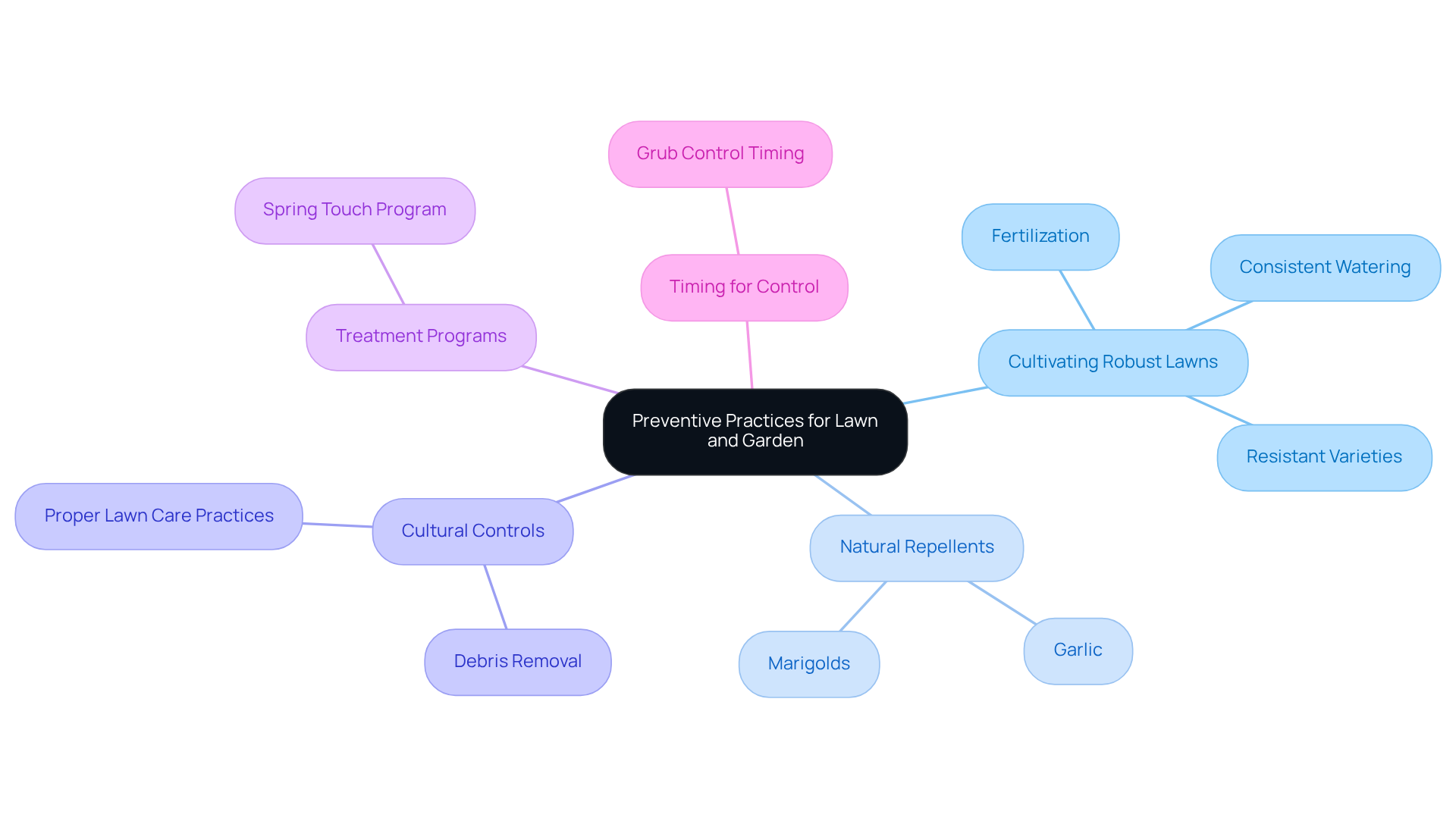 The central node represents the main theme of preventive practices. Each branch shows a different strategy or recommendation, with sub-branches detailing specific actions. This layout helps visualize how each practice contributes to pest management.