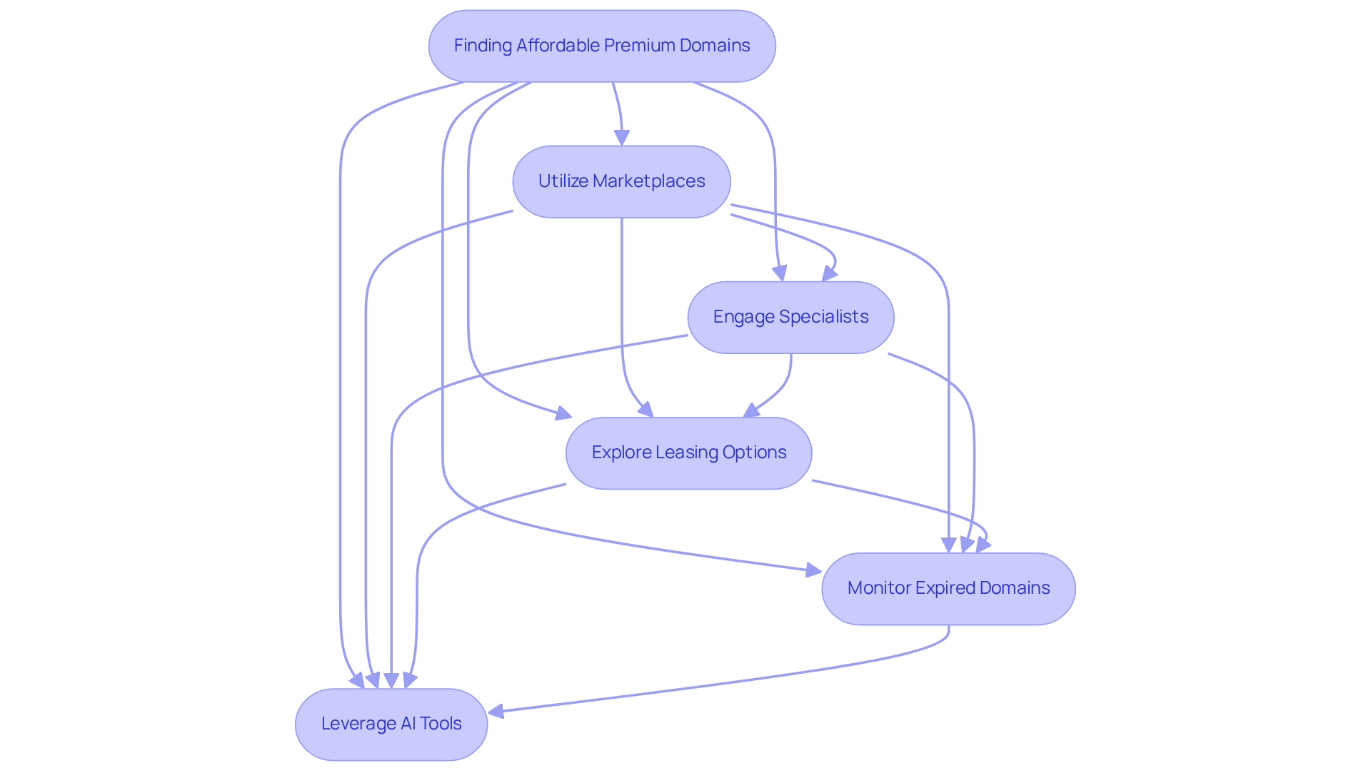 Each box represents a different strategy you can use to find budget-friendly premium domains. Follow the arrows to explore your options and see how they connect!