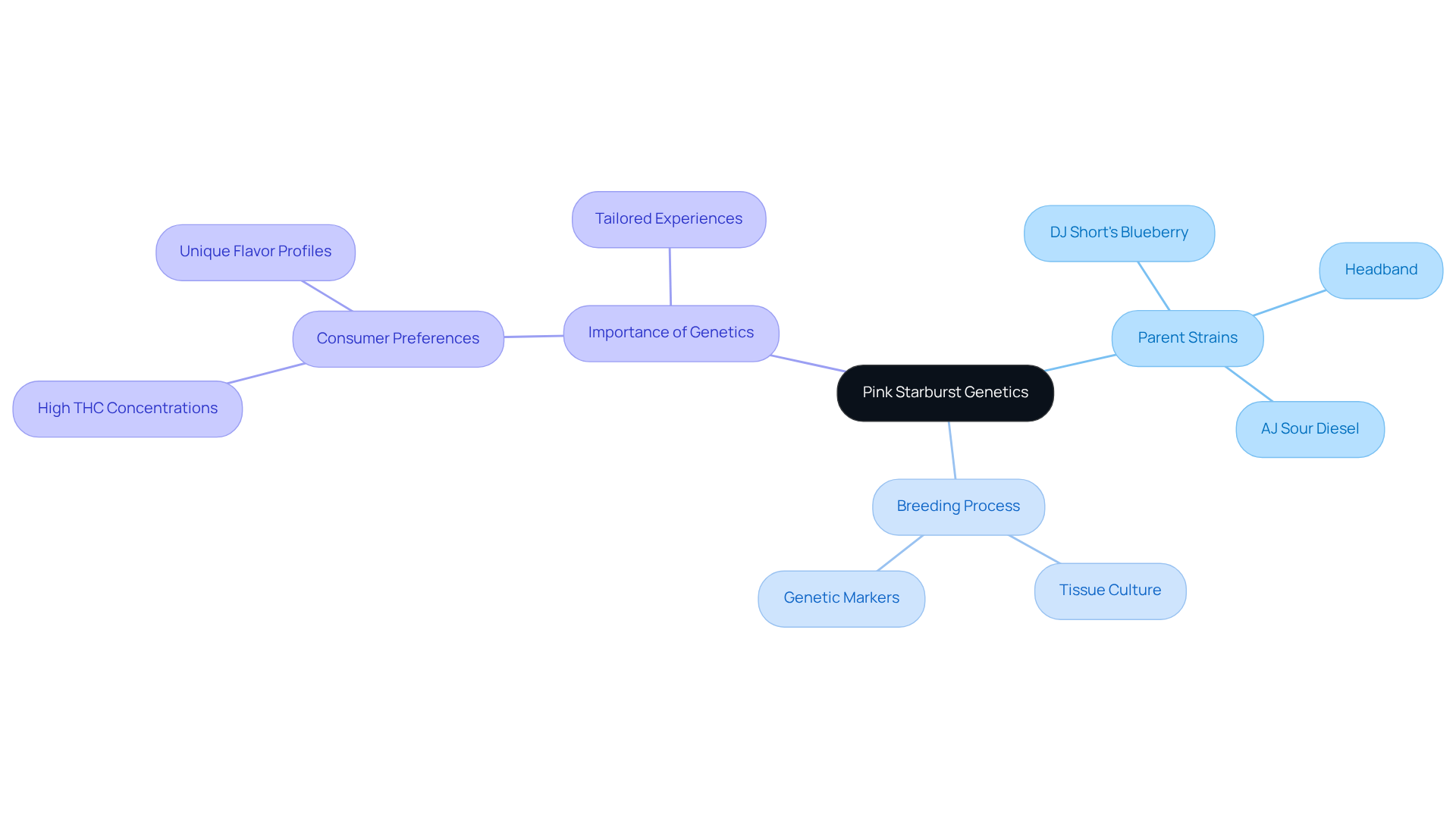 The center shows the Pink Starburst strain, with branches leading to its parent strains, breeding techniques, and the significance of genetics in breeding. Explore the connections to understand how this strain was developed.