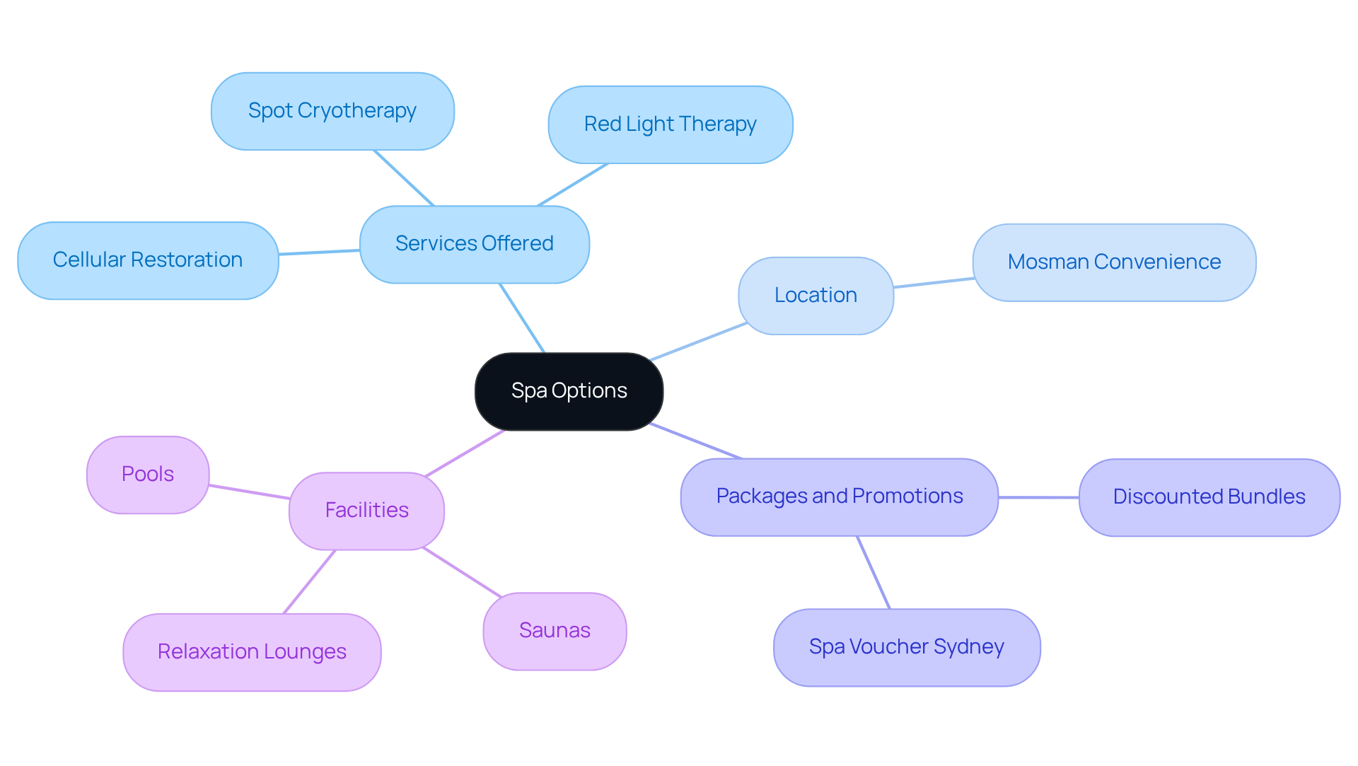 Start at the center with 'Spa Options', then explore each branch to understand what to look for in a wellness center, including services, location, deals, and amenities.