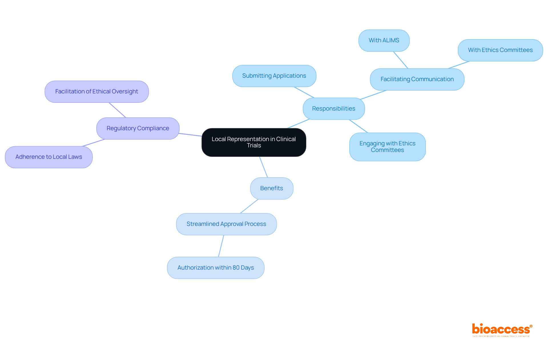 The central node represents the main topic, while branches show the responsibilities and benefits of having a local representative. Each color-coded branch helps you quickly identify different aspects of local representation.