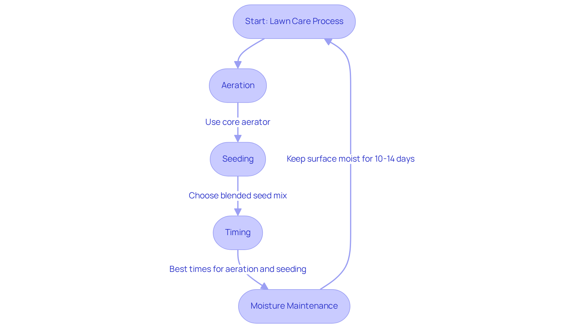 Follow the arrows to see the steps for aerating and seeding your lawn. Each box represents a key action or consideration in the process, helping you understand how to achieve a healthy lawn.