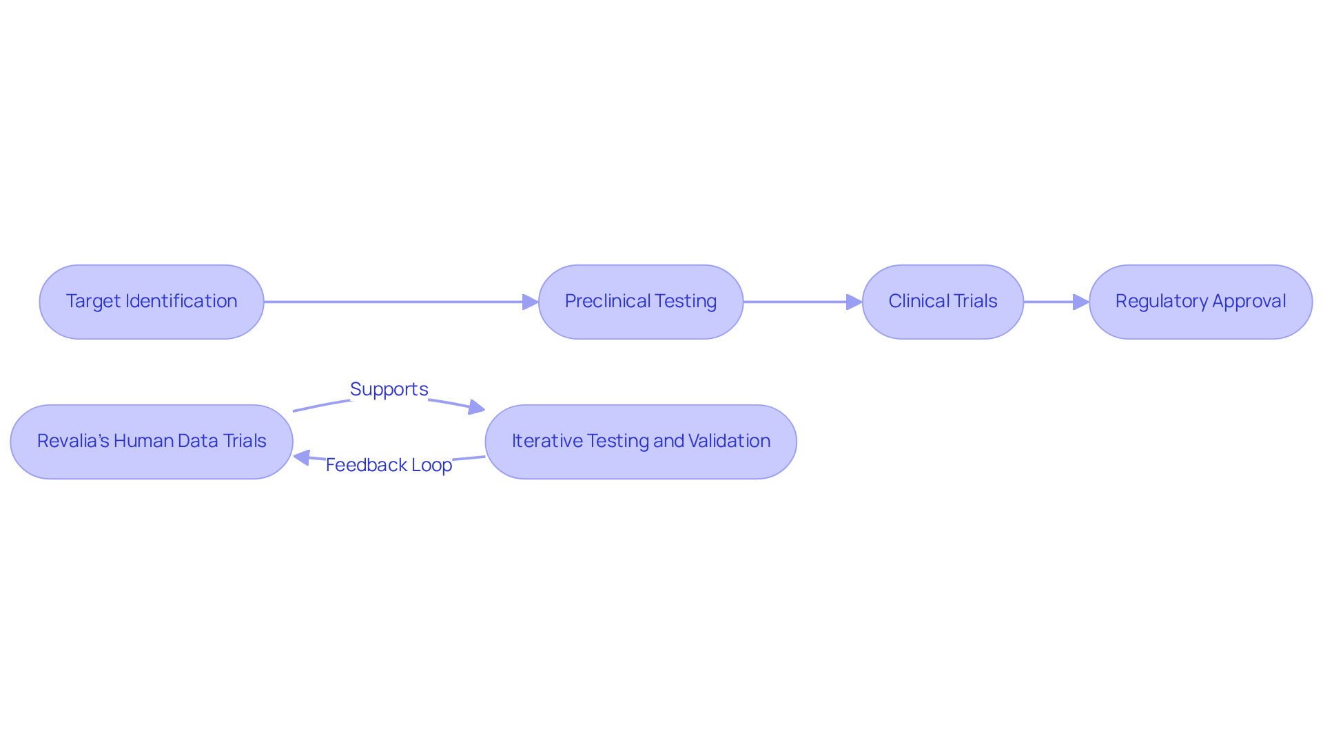 The left side shows the traditional drug development steps, while the right side highlights Revalia's innovative approach. Follow the arrows to see how each method progresses.