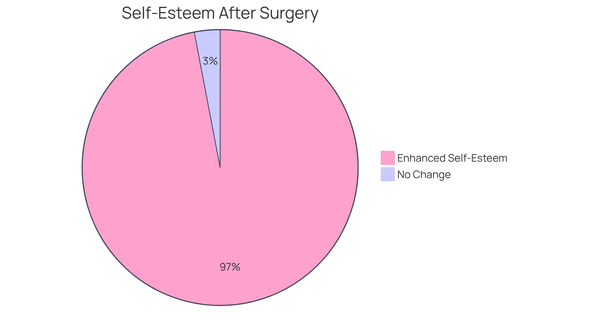 This chart shows how many people felt more confident after their cosmetic procedure. The big green slice means most people (97%) reported feeling better about themselves, while the small gray slice represents those who didn't feel a change. This chart shows how many people felt more confident after their cosmetic procedure. The big green slice means most people (97%) reported feeling better about themselves, while the small gray slice represents those who didn't feel a change.