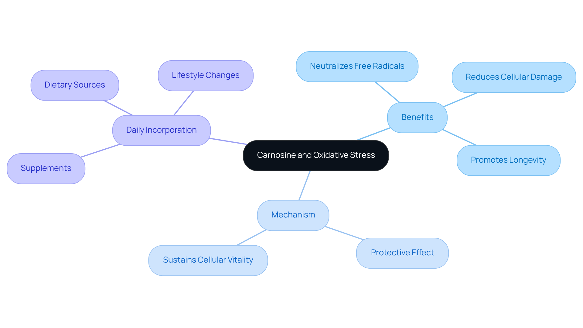 This mindmap shows how carnosine helps fight oxidative stress. Start at the center with carnosine, then explore its benefits, how it works, and ways to include it in your life. Each branch represents a different aspect of how carnosine contributes to health and vitality. This mindmap shows how carnosine helps fight oxidative stress. Start at the center with carnosine, then explore its benefits, how it works, and ways to include it in your life. Each branch represents a different aspect of how carnosine contributes to health and vitality.