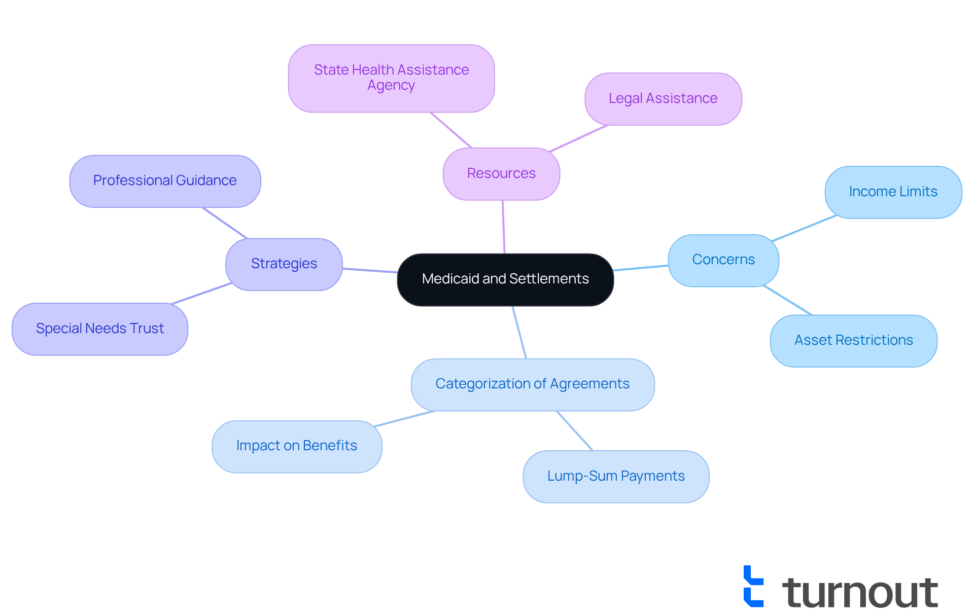 The central node represents the main topic, while branches show related concerns and strategies. Each color-coded branch helps you navigate through the complexities of Medicaid and settlements, making it easier to grasp how they interconnect.