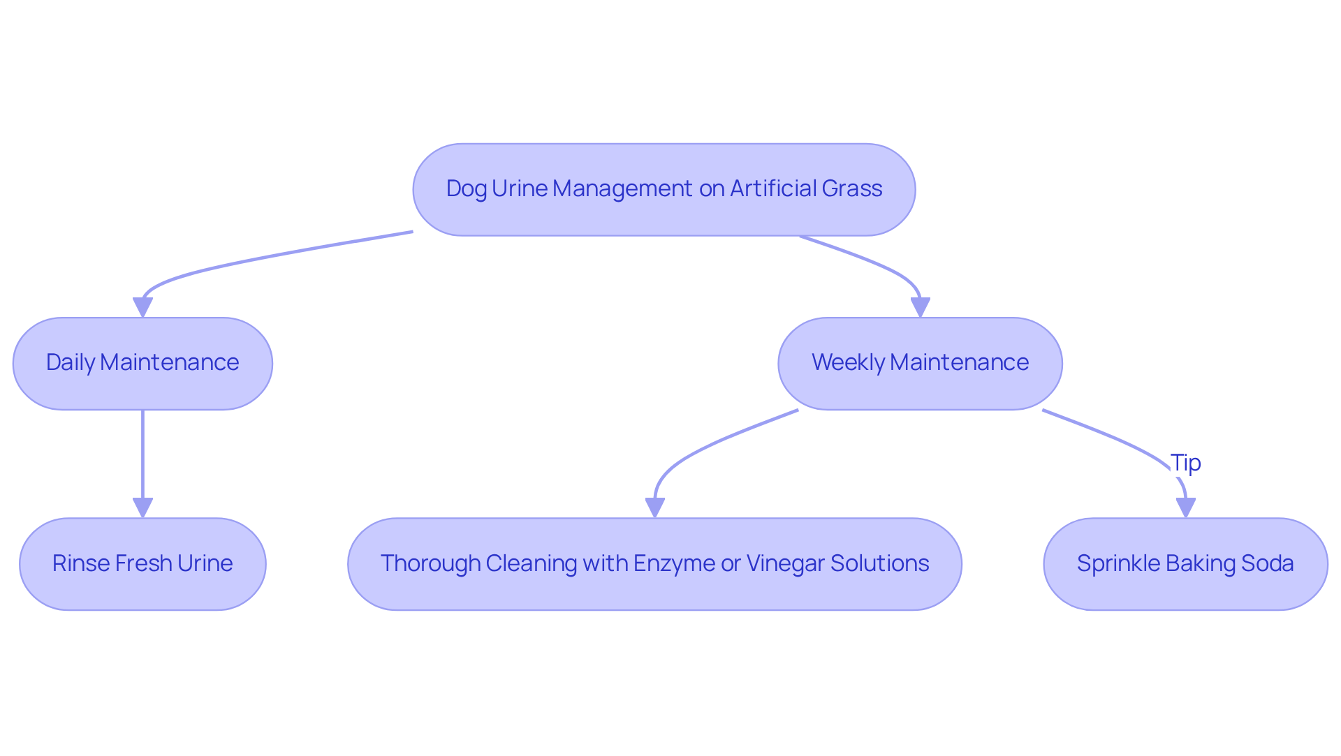 Follow the arrows to see the daily and weekly steps you can take to keep your artificial grass clean and odor-free. Each box represents an action you should take to manage dog urine effectively.