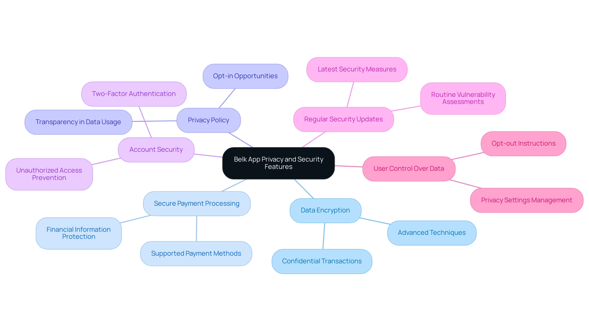 Each branch represents a specific feature of the app's privacy and security framework, with colors distinguishing between features.