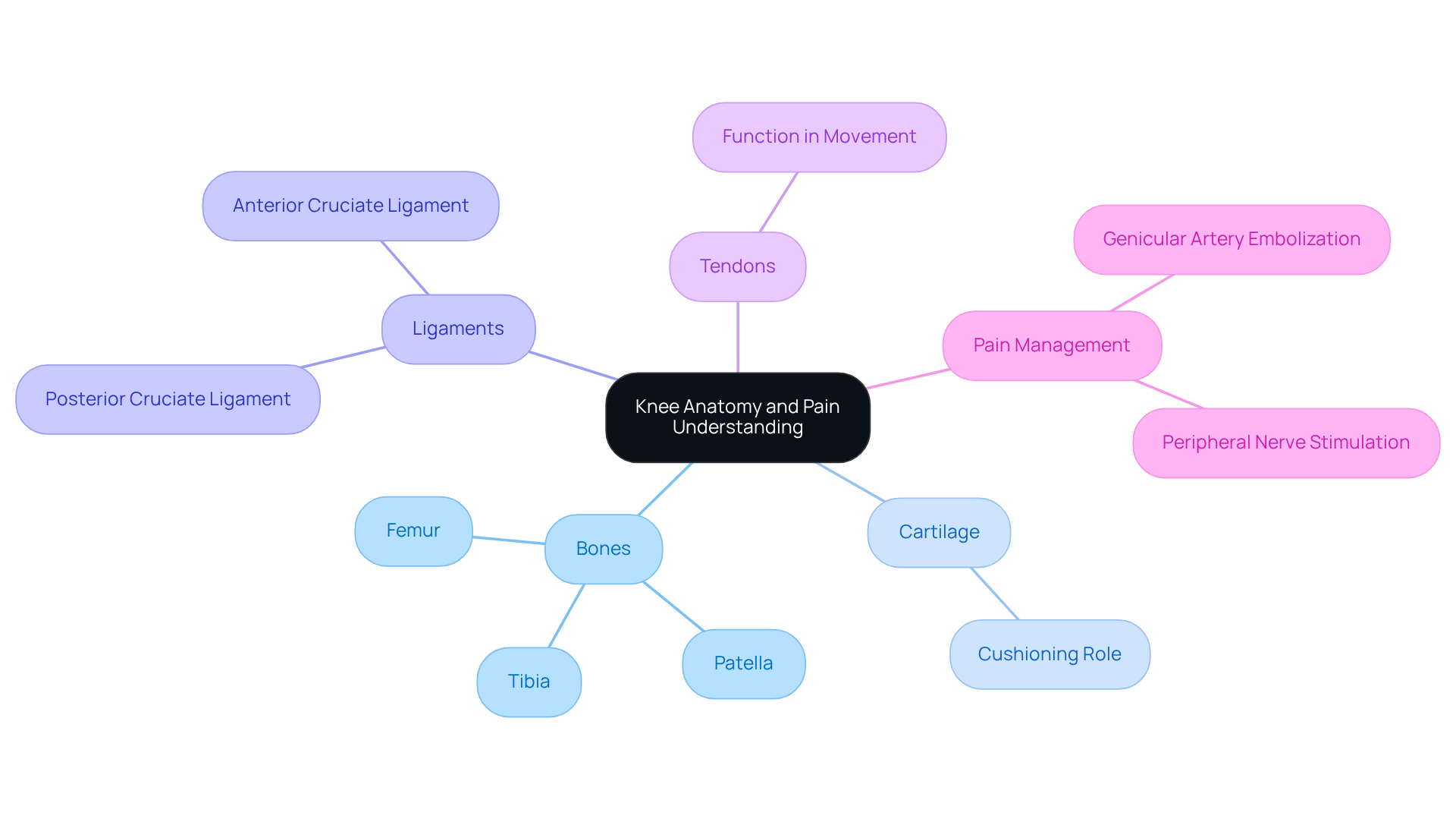 This mindmap starts with the central idea of knee anatomy and branches out to show how each part contributes to movement and pain. Each color-coded branch represents a different aspect of the knee, helping you see how they all connect to the overall understanding of knee pain. This mindmap starts with the central idea of knee anatomy and branches out to show how each part contributes to movement and pain. Each color-coded branch represents a different aspect of the knee, helping you see how they all connect to the overall understanding of knee pain.