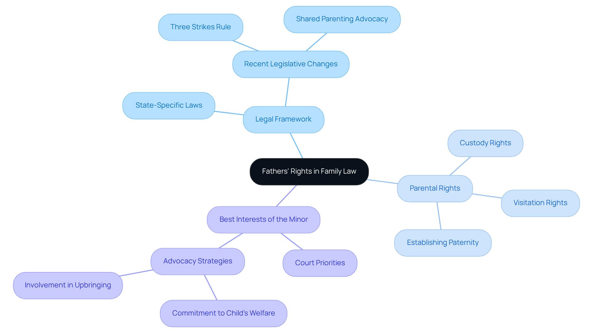 The central node represents the main topic, while the branches show key areas of focus. Each sub-branch provides specific details that lawyers should know to effectively advocate for fathers' rights.