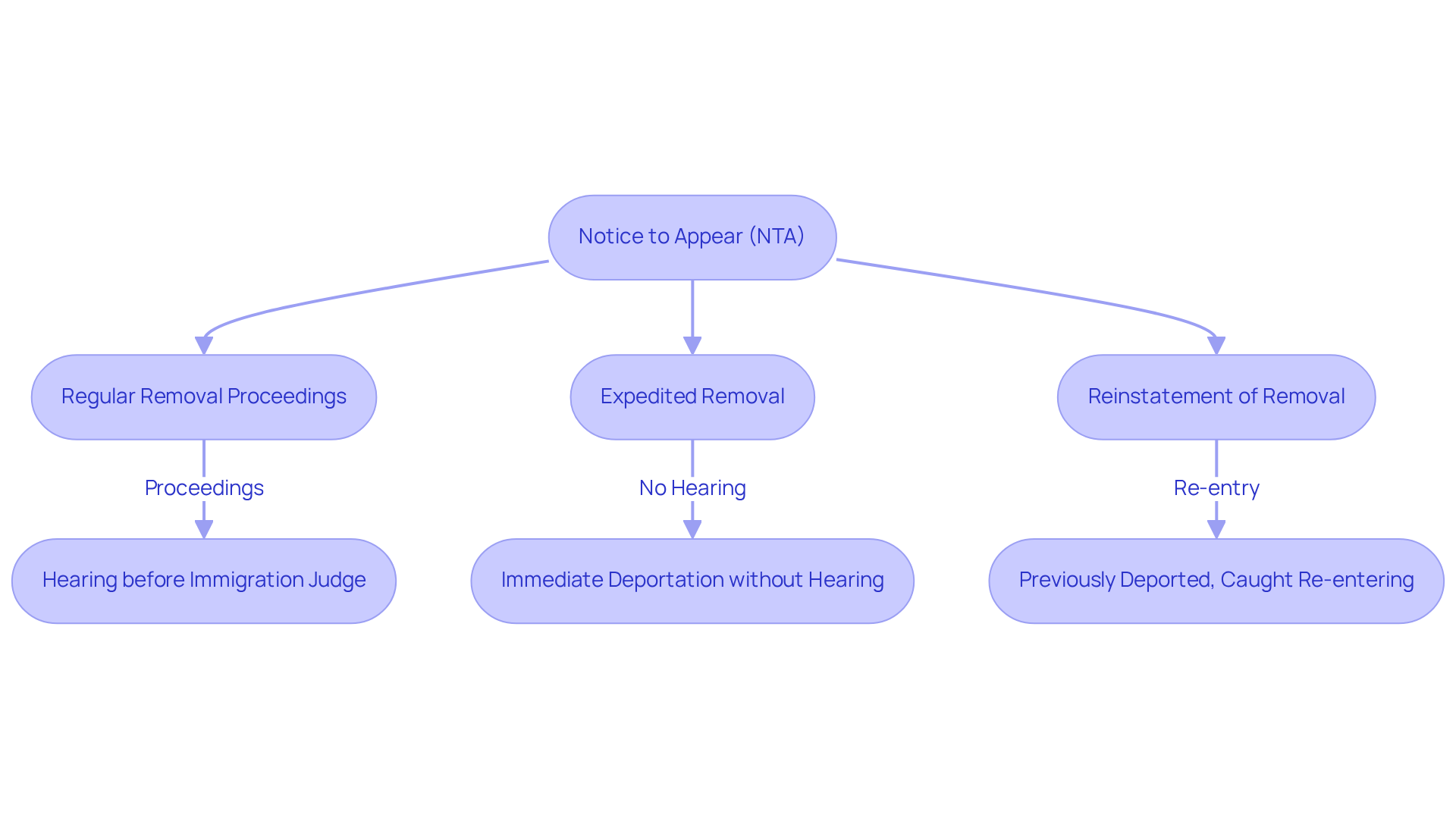 This flowchart outlines the steps in the deportation process. Start with the NTA, then follow the arrows to see the different types of removal proceedings and their specific characteristics.