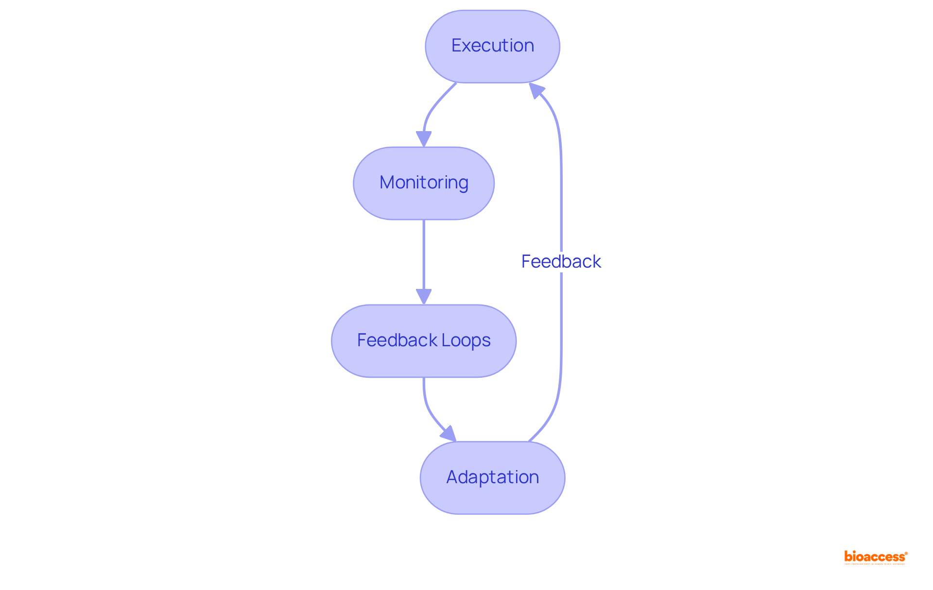 Each box represents a crucial step in the healthcare strategy process. Follow the arrows to see how each step connects and leads into the next, emphasizing the importance of feedback in adapting the strategy.