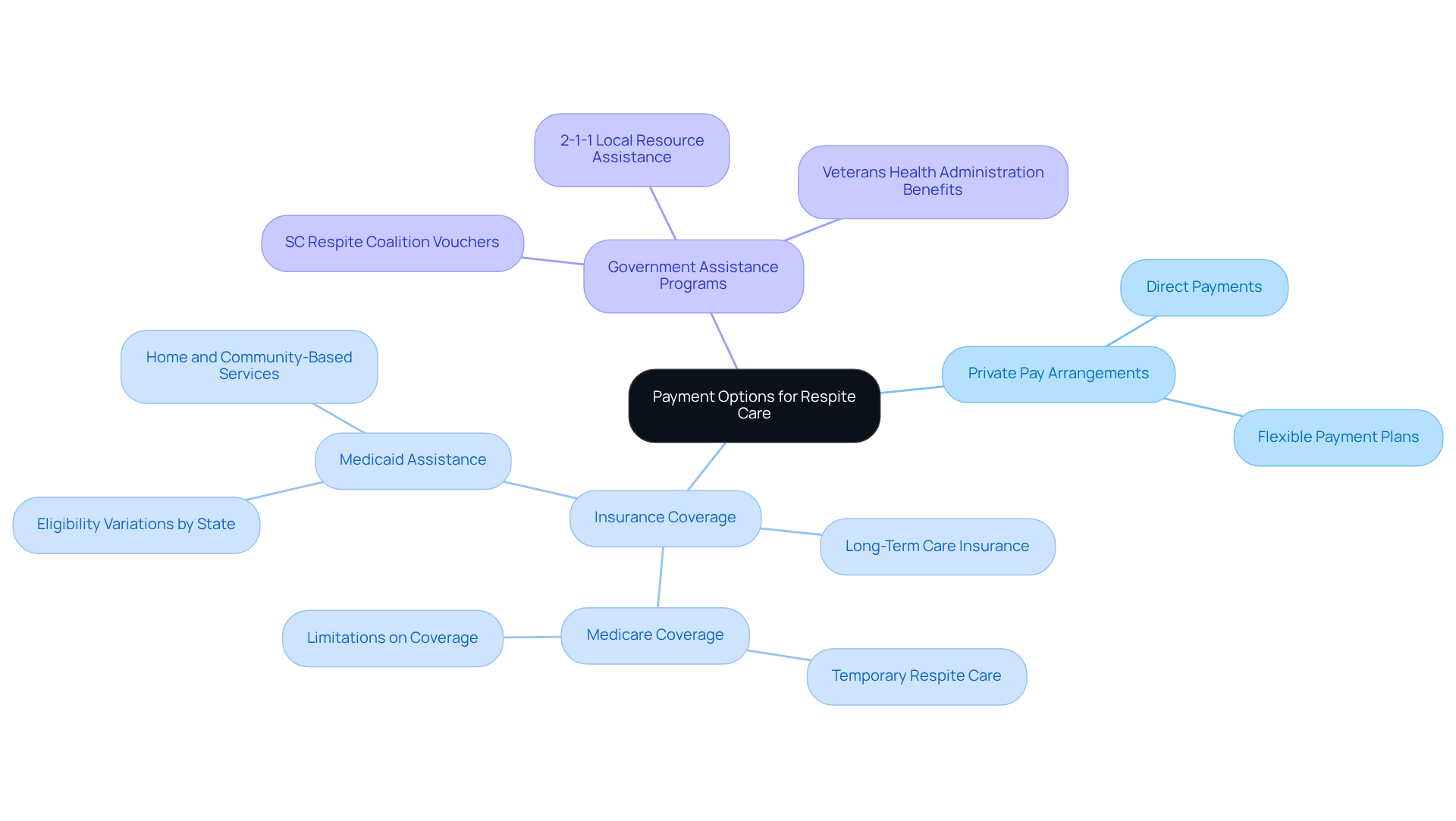The central node represents the main topic of payment options, while the branches show different categories. Each sub-branch provides specific details about that category, helping families navigate their choices.