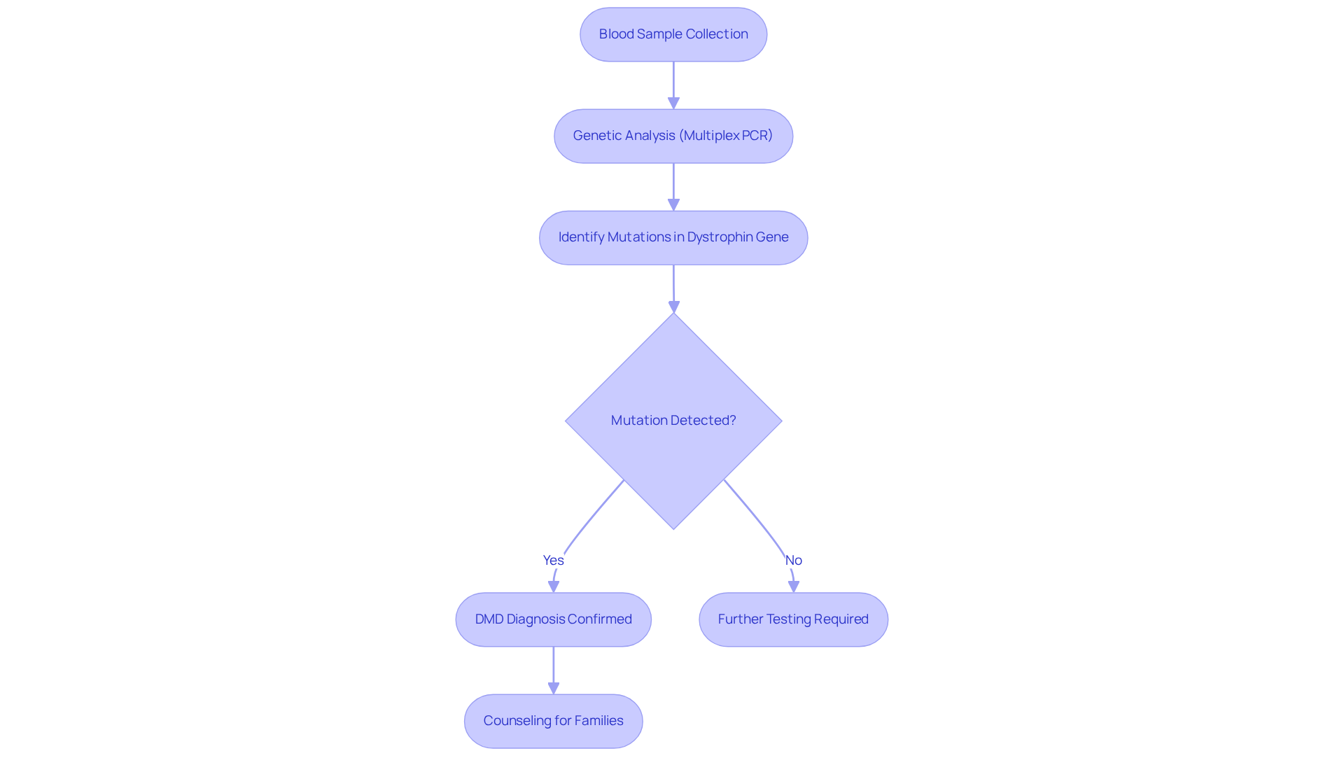 This flowchart illustrates the steps involved in genetic testing for Duchenne muscular dystrophy. Start with blood sample collection, then follow the arrows to see how the analysis leads to diagnosis and counseling for families. Each step is crucial for understanding the genetic implications and making informed health decisions. This flowchart illustrates the steps involved in genetic testing for Duchenne muscular dystrophy. Start with blood sample collection, then follow the arrows to see how the analysis leads to diagnosis and counseling for families. Each step is crucial for understanding the genetic implications and making informed health decisions.