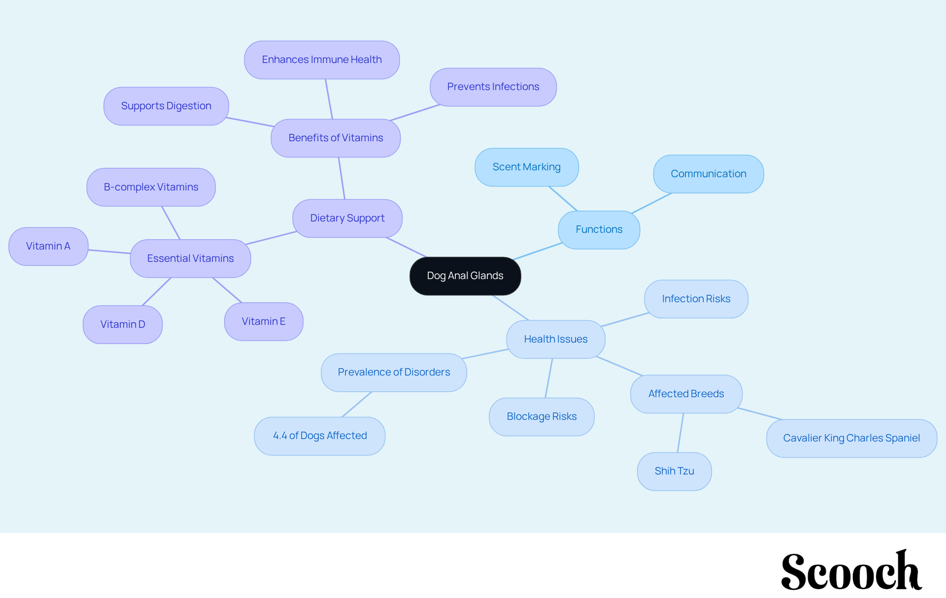 The center represents the main topic of dog anal glands. Each branch shows related aspects: their functions, potential health issues, and how diet can support their health. Follow the branches to explore how these elements are interconnected. The center represents the main topic of dog anal glands. Each branch shows related aspects: their functions, potential health issues, and how diet can support their health. Follow the branches to explore how these elements are interconnected.