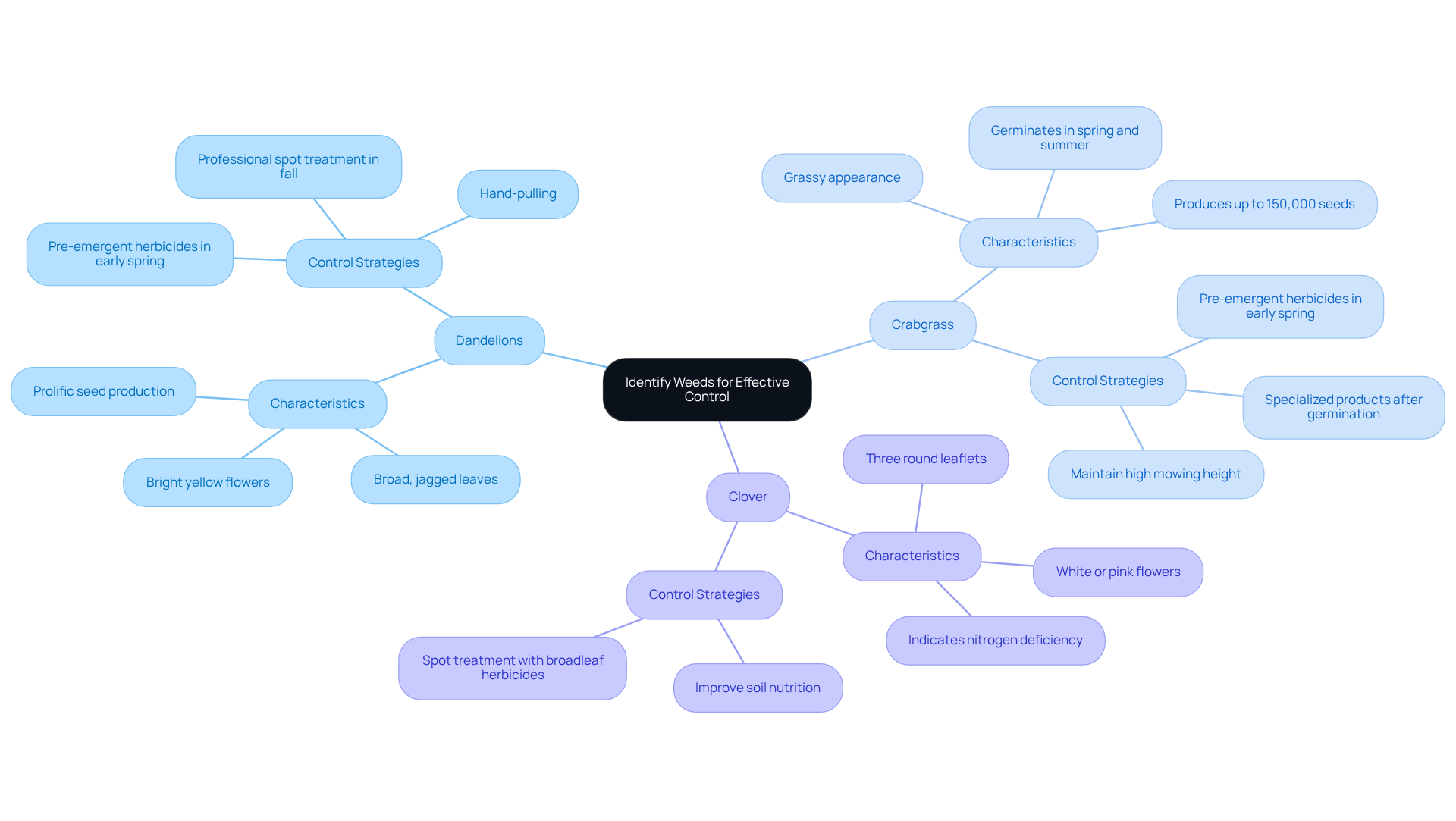 The center represents the main topic of weed identification. Each branch leads to a specific weed type, showing its unique traits and how to manage it effectively. The center represents the main topic of weed identification. Each branch leads to a specific weed type, showing its unique traits and how to manage it effectively.