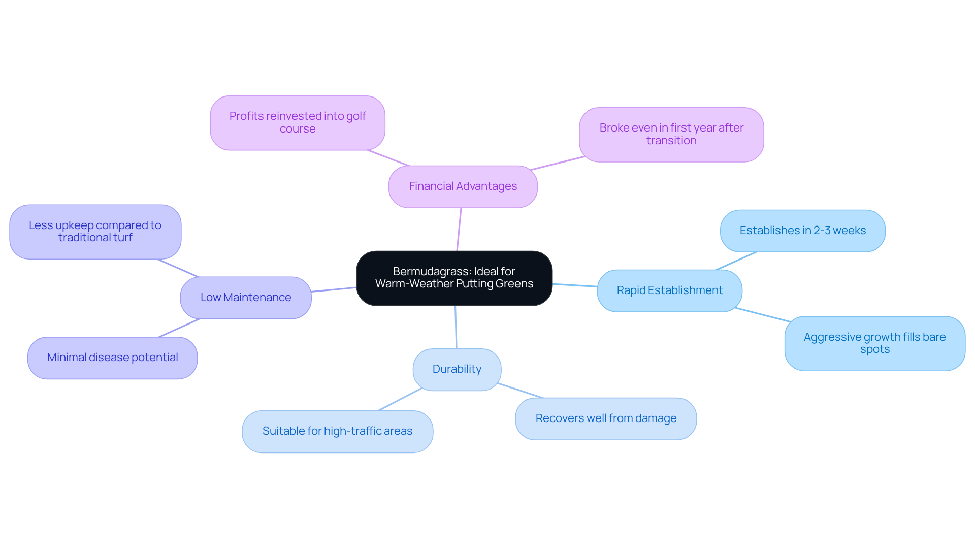 The central node represents Bermudagrass, and each branch shows a key benefit. Follow the branches to explore how each characteristic contributes to its suitability for warm-weather lawns. The central node represents Bermudagrass, and each branch shows a key benefit. Follow the branches to explore how each characteristic contributes to its suitability for warm-weather lawns.