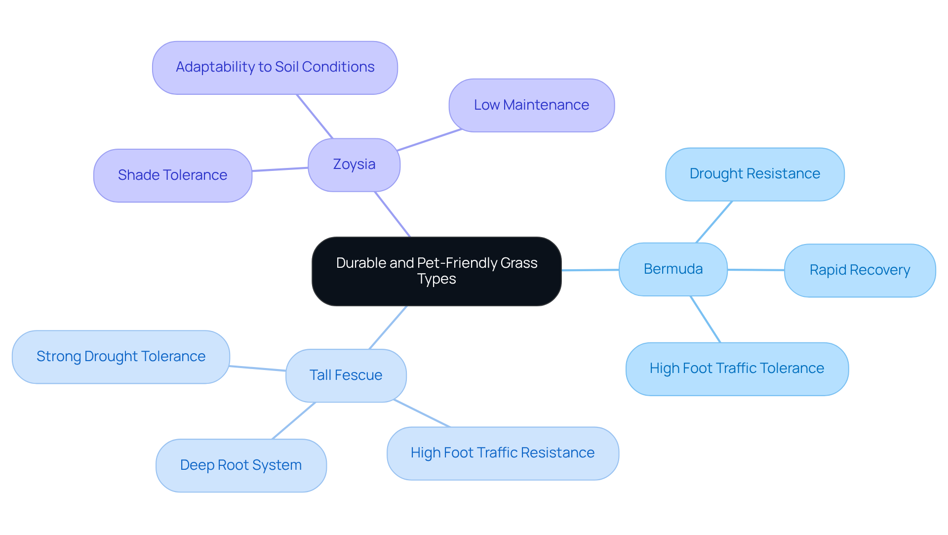 Start at the center with the main topic of grass types, then follow the branches to explore each type's unique benefits for creating a resilient outdoor space for pets.