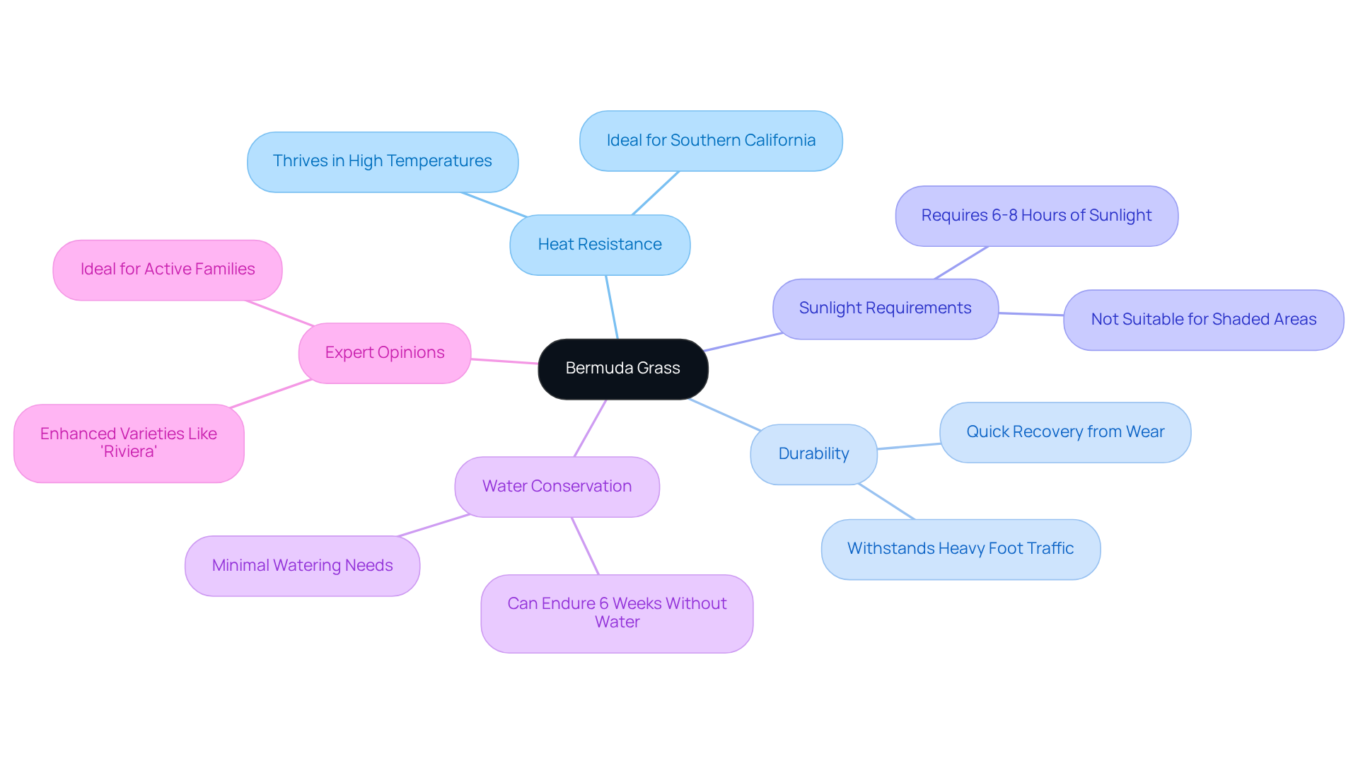 This mindmap starts with Bermuda grass at the center, branching out to show its key benefits and characteristics. Each branch represents a different aspect of the grass, helping you see how they all connect to the main topic.
