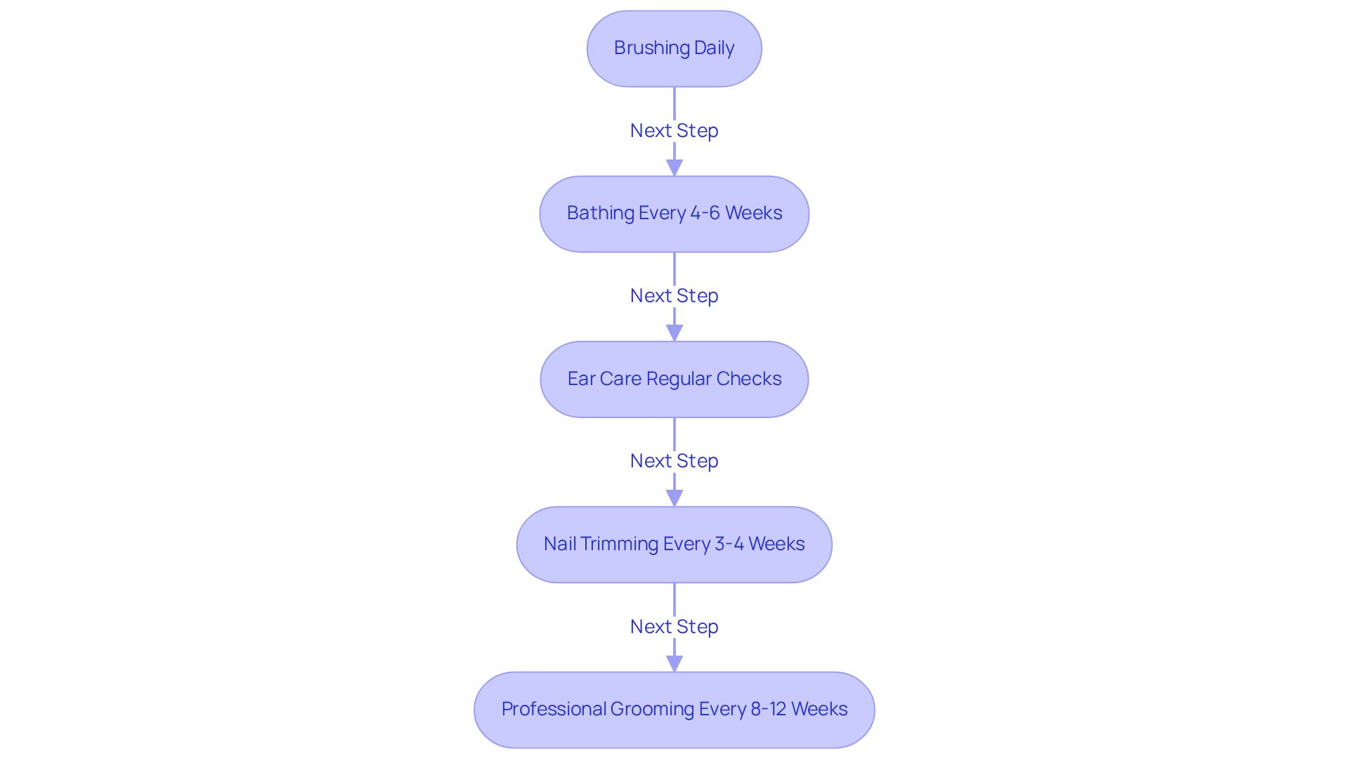 Each box represents a grooming task you should do for your dog. Follow the arrows to see the recommended frequency for each task, helping you keep your furry friend looking and feeling their best.