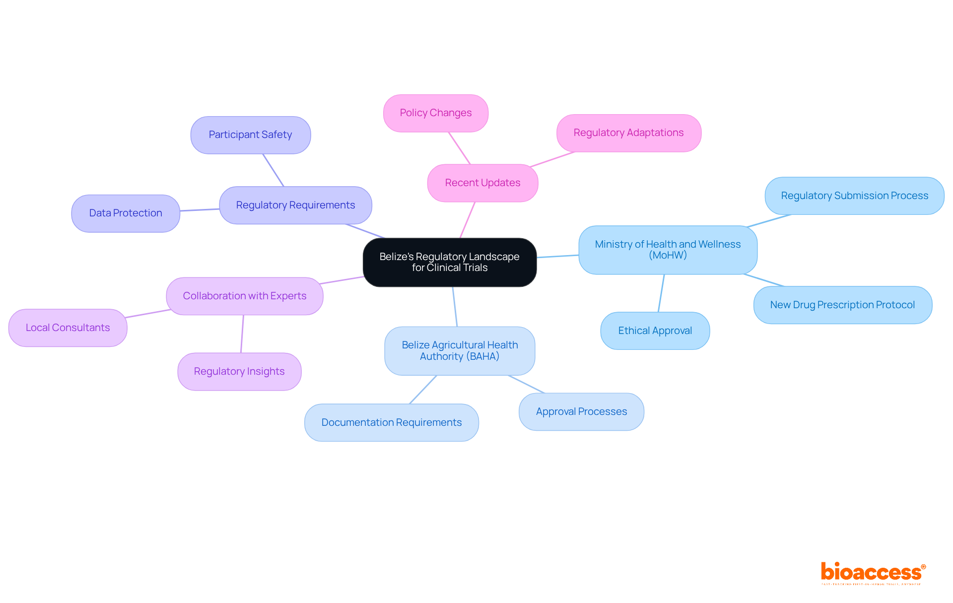 The central node represents the overall regulatory landscape, while branches show key organizations and requirements. Each sub-branch provides more detail on specific aspects, helping you understand how everything connects.