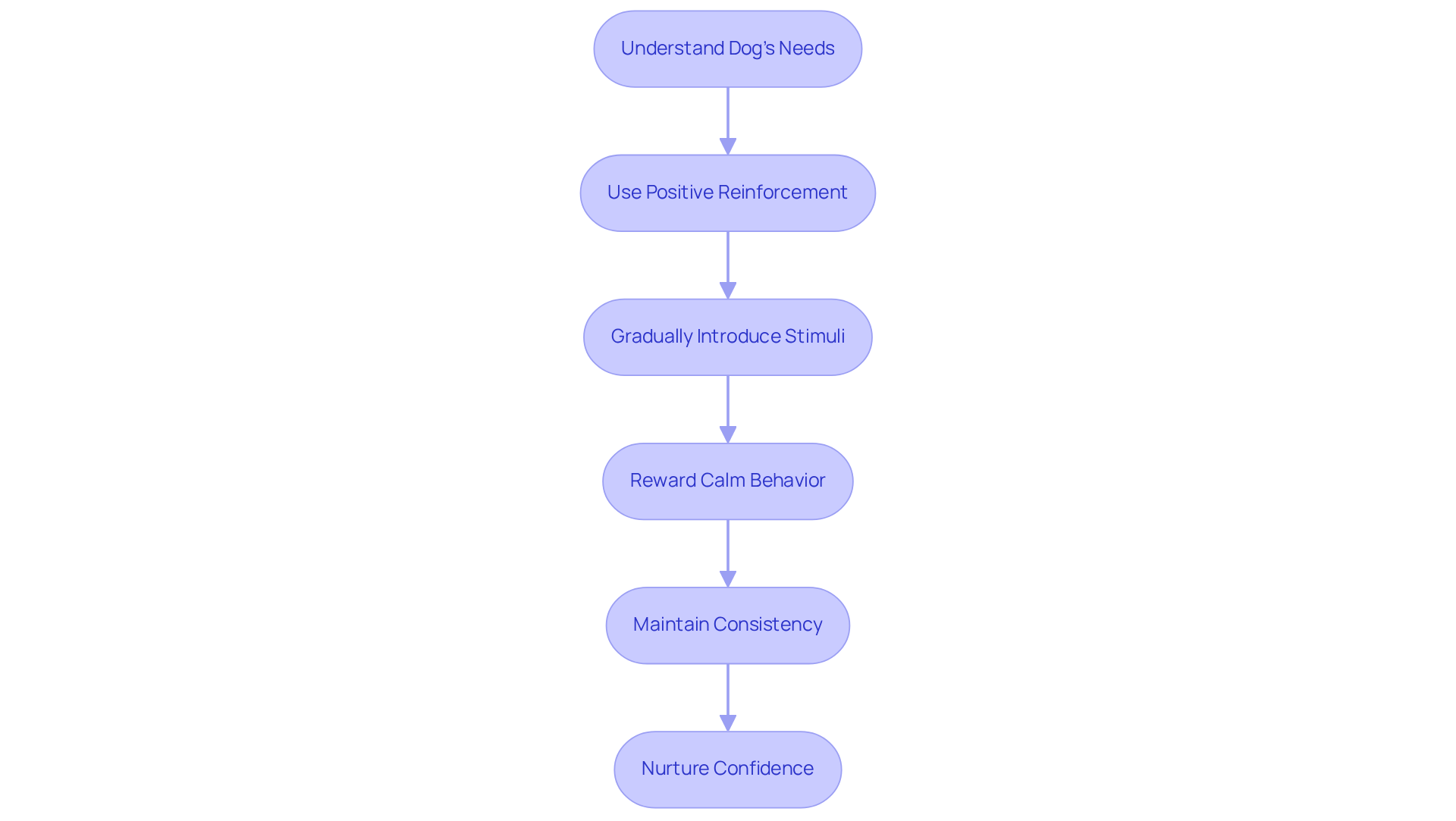 Follow the arrows to navigate through the training process. Each box represents an important step to help your dog become calm and confident.
