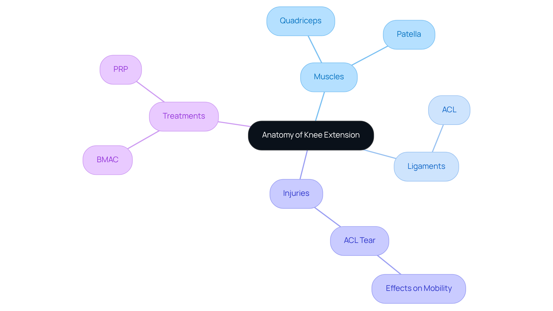 This mindmap illustrates the key components involved in knee extension. Start at the center with the anatomy, then follow the branches to see how muscles, ligaments, injuries, and treatments are interconnected. Each branch represents a different aspect of knee health and recovery. This mindmap illustrates the key components involved in knee extension. Start at the center with the anatomy, then follow the branches to see how muscles, ligaments, injuries, and treatments are interconnected. Each branch represents a different aspect of knee health and recovery.