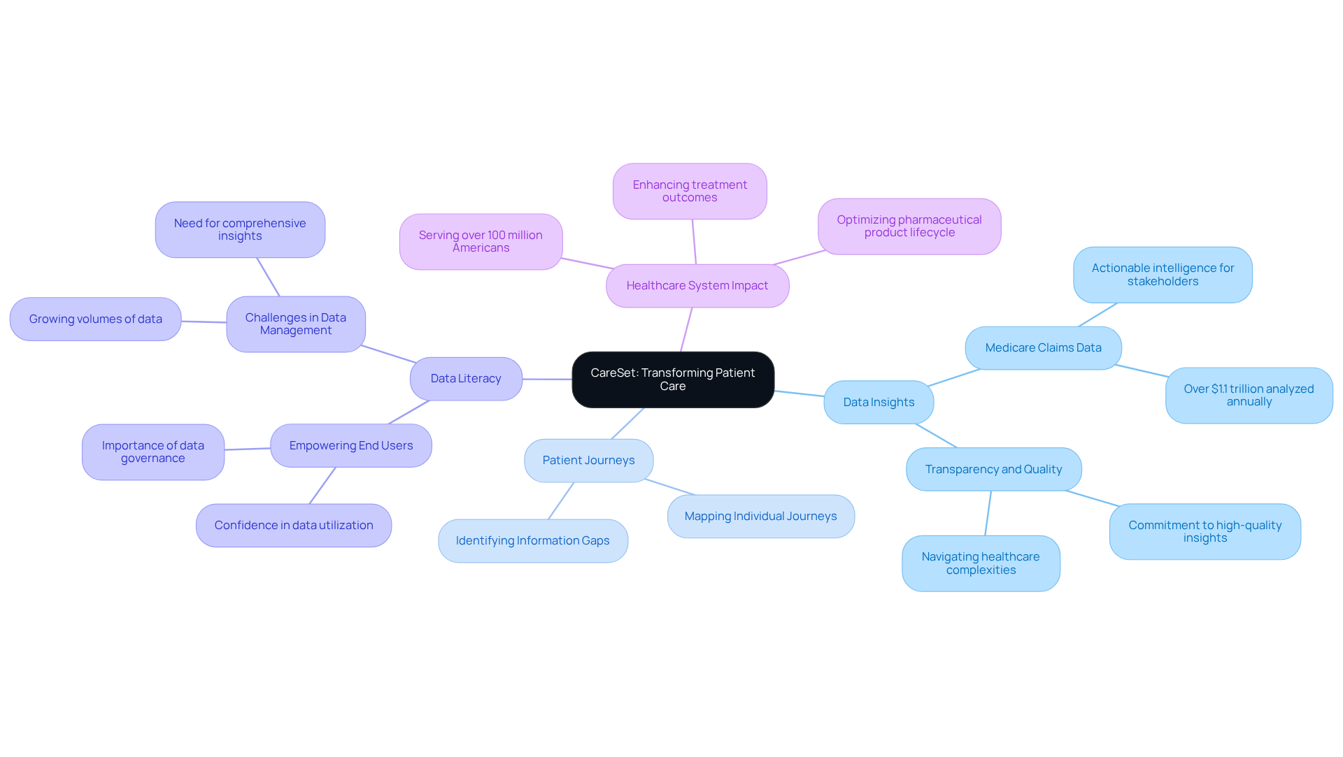 The central node represents CareSet's role in enhancing patient care, while branches show key areas of focus and insights that contribute to this transformation.