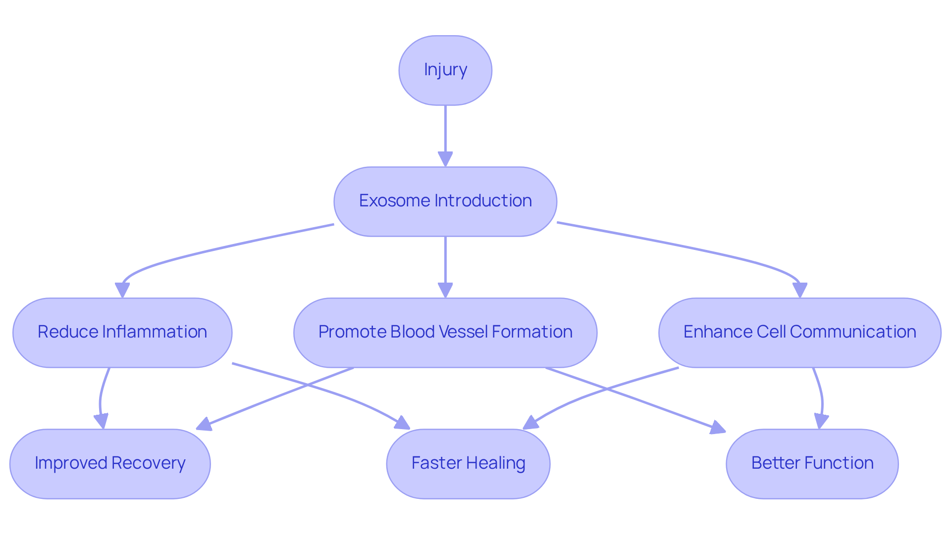 This flowchart shows how exosome therapy works from the moment of injury to the recovery process. Each step highlights how exosomes help reduce inflammation, promote healing, and improve function, leading to a quicker return to activity. This flowchart shows how exosome therapy works from the moment of injury to the recovery process. Each step highlights how exosomes help reduce inflammation, promote healing, and improve function, leading to a quicker return to activity.