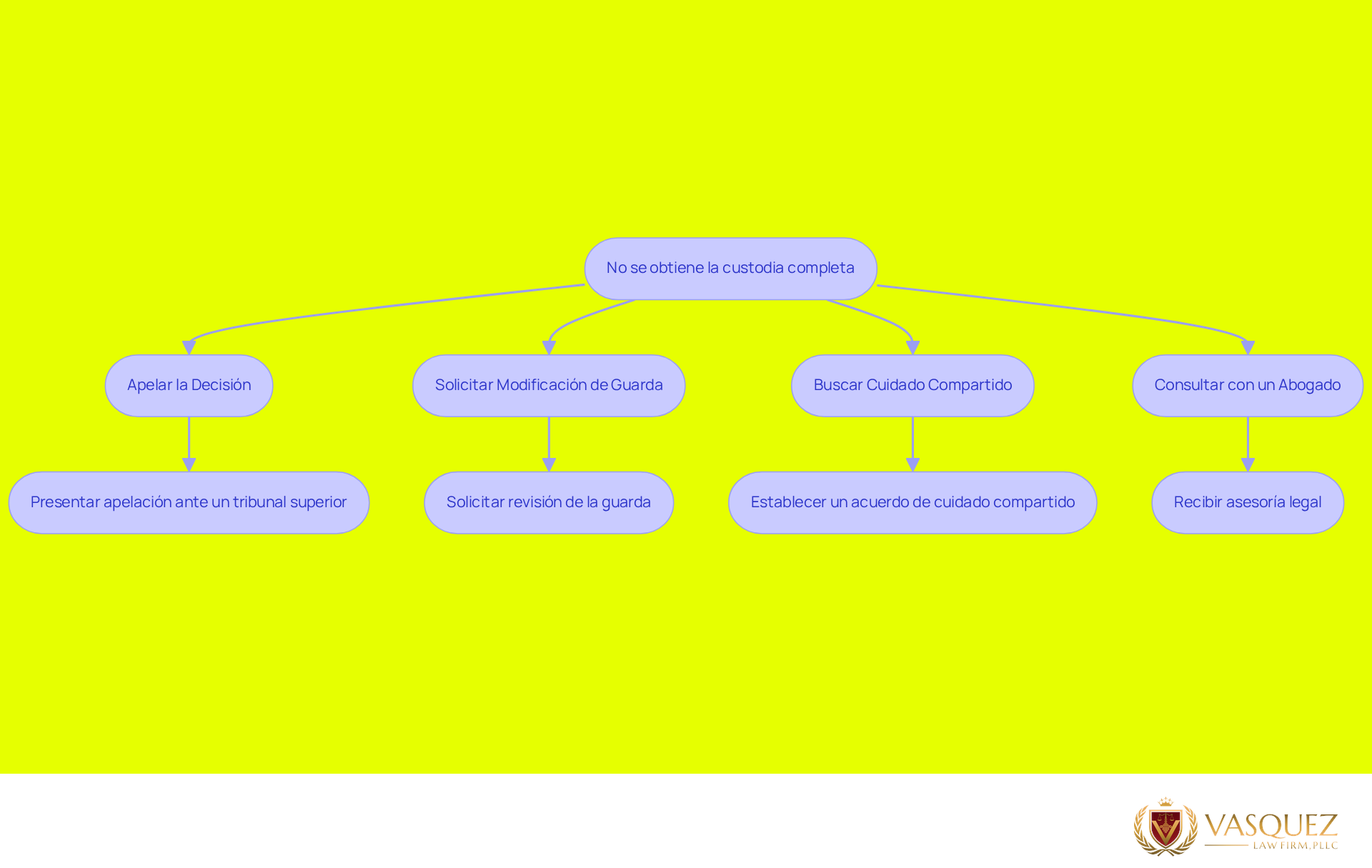 Cada cuadro representa una opción que puedes considerar si no obtuviste la custodia completa. Sigue las flechas para ver qué pasos puedes tomar a continuación.