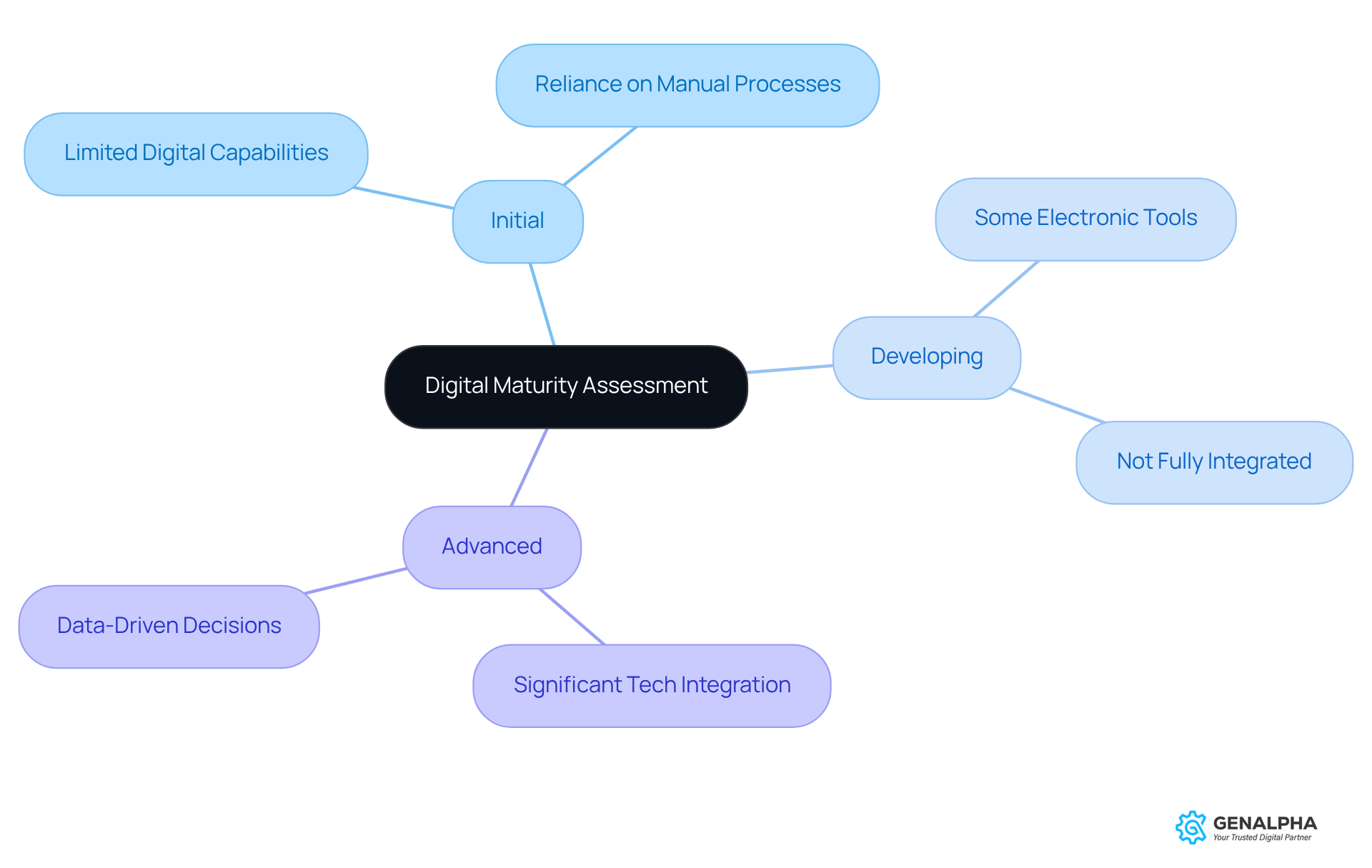 The center shows the main topic of digital maturity. Each branch represents a level of maturity, with details about what that level entails. This helps you understand where your organization stands in its digital transformation journey.