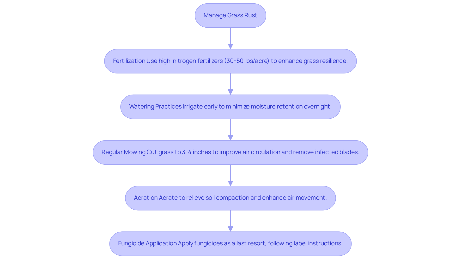 Follow the arrows to see the steps you can take to combat grass rust. Each box represents a strategy to keep your lawn healthy and beautiful.