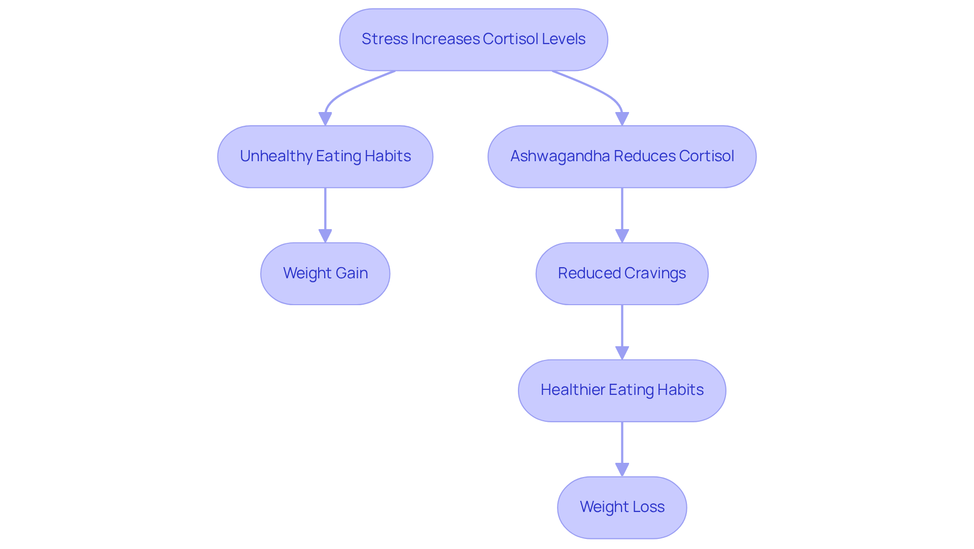 This flowchart illustrates how stress affects weight gain and how ashwagandha can help. Start at the top with stress and follow the arrows to see how it leads to unhealthy eating. Then, see how ashwagandha helps reduce stress and cravings, promoting healthier habits and weight loss.