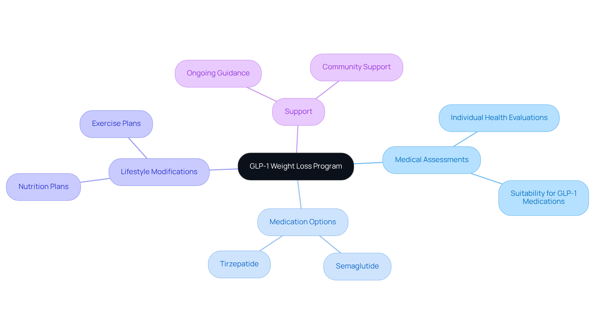 The center represents the main weight loss program, and the branches show the different services and approaches that support your journey. Each color-coded branch helps you see how everything connects to your personalized weight loss goals.