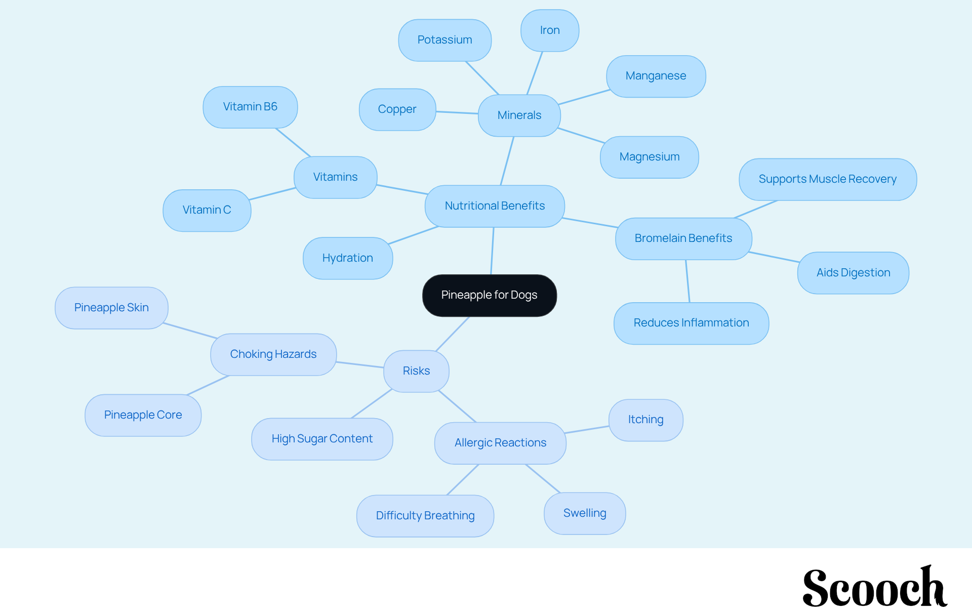 The central node represents the main topic, while branches illustrate benefits and risks. Each color-coded branch helps identify key points, making it easier to understand how pineapple can affect your dog's health.