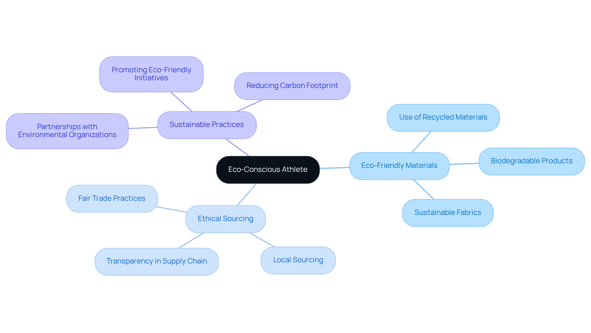 Start at the center with the main idea of eco-conscious athletes, then follow the branches to explore their values and how businesses can connect with them.