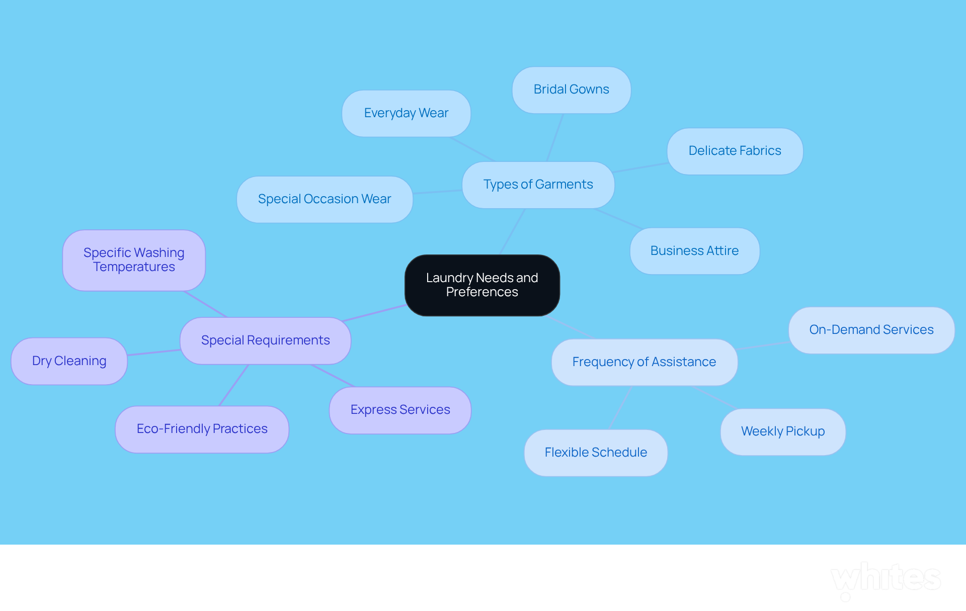 The center represents your overall laundry needs, while the branches show different factors to consider. Each sub-branch provides specific details to help you evaluate your options.