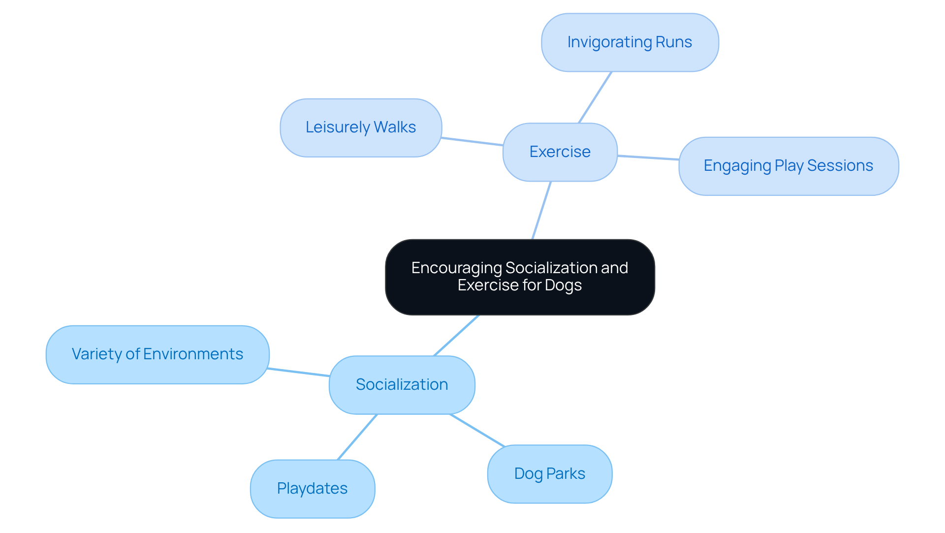 Start from the center with the main goal of socialization and exercise, then branch out to see specific activities that promote each aspect. The colors help separate the ideas for easier understanding.