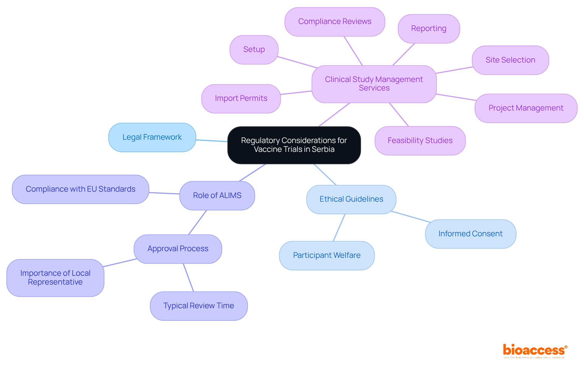 The central node represents the main topic, while the branches show different aspects of regulatory considerations. Each color-coded branch helps you see how various elements connect to the overall framework.