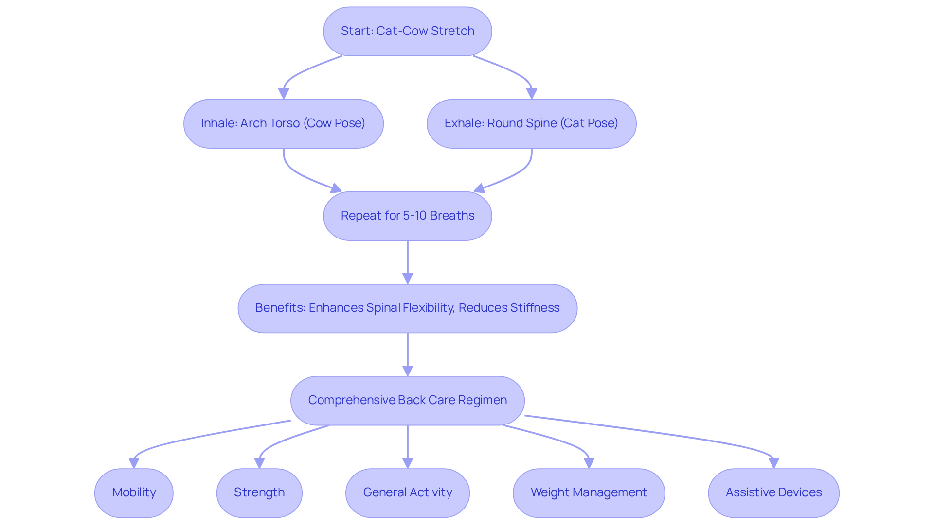 This flowchart guides you through the Cat-Cow stretch process. Start at the top and follow the arrows to see how to perform the stretch and its benefits. The additional boxes show other important aspects of back care to keep your spine healthy. This flowchart guides you through the Cat-Cow stretch process. Start at the top and follow the arrows to see how to perform the stretch and its benefits. The additional boxes show other important aspects of back care to keep your spine healthy.