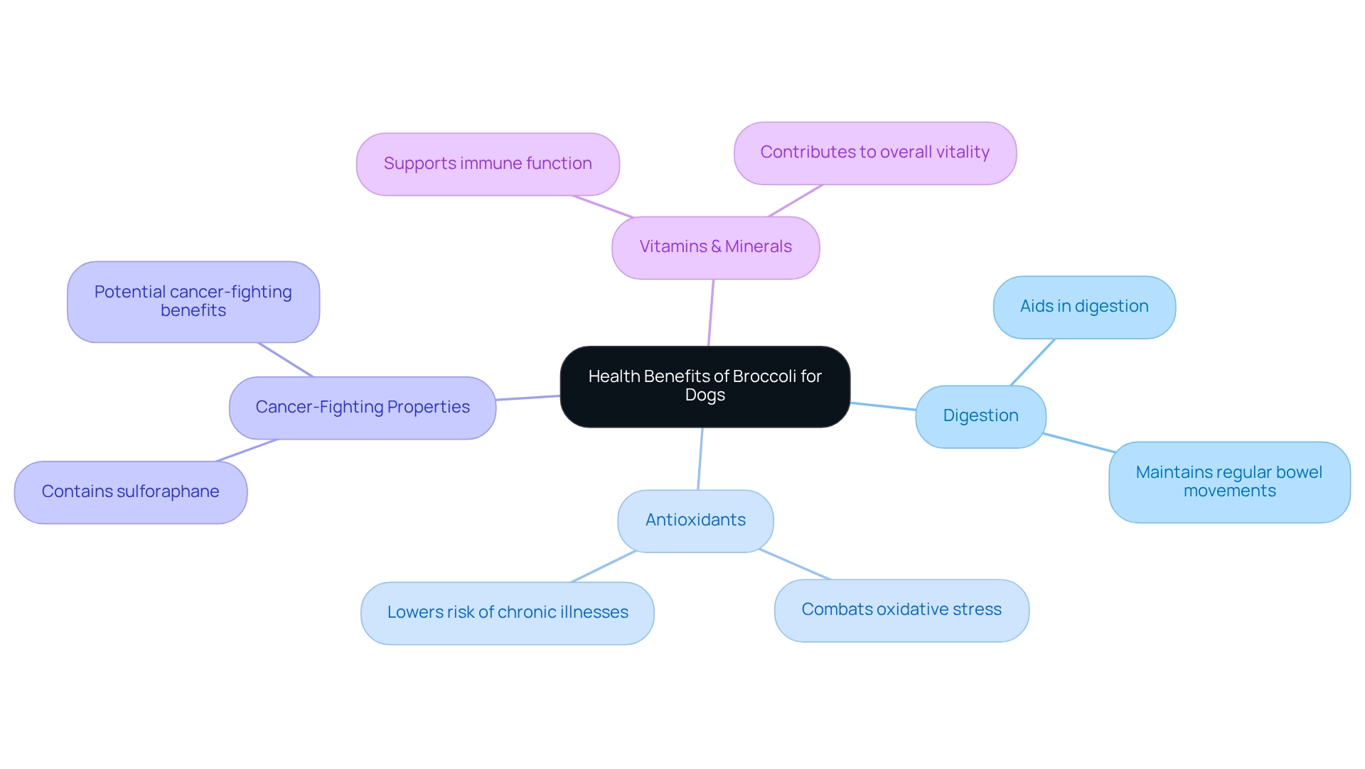 In this mindmap, the center represents broccoli's role in canine health. Each branch indicates a different health benefit, showing how they relate to the overall theme of enhancing your dog's well-being.