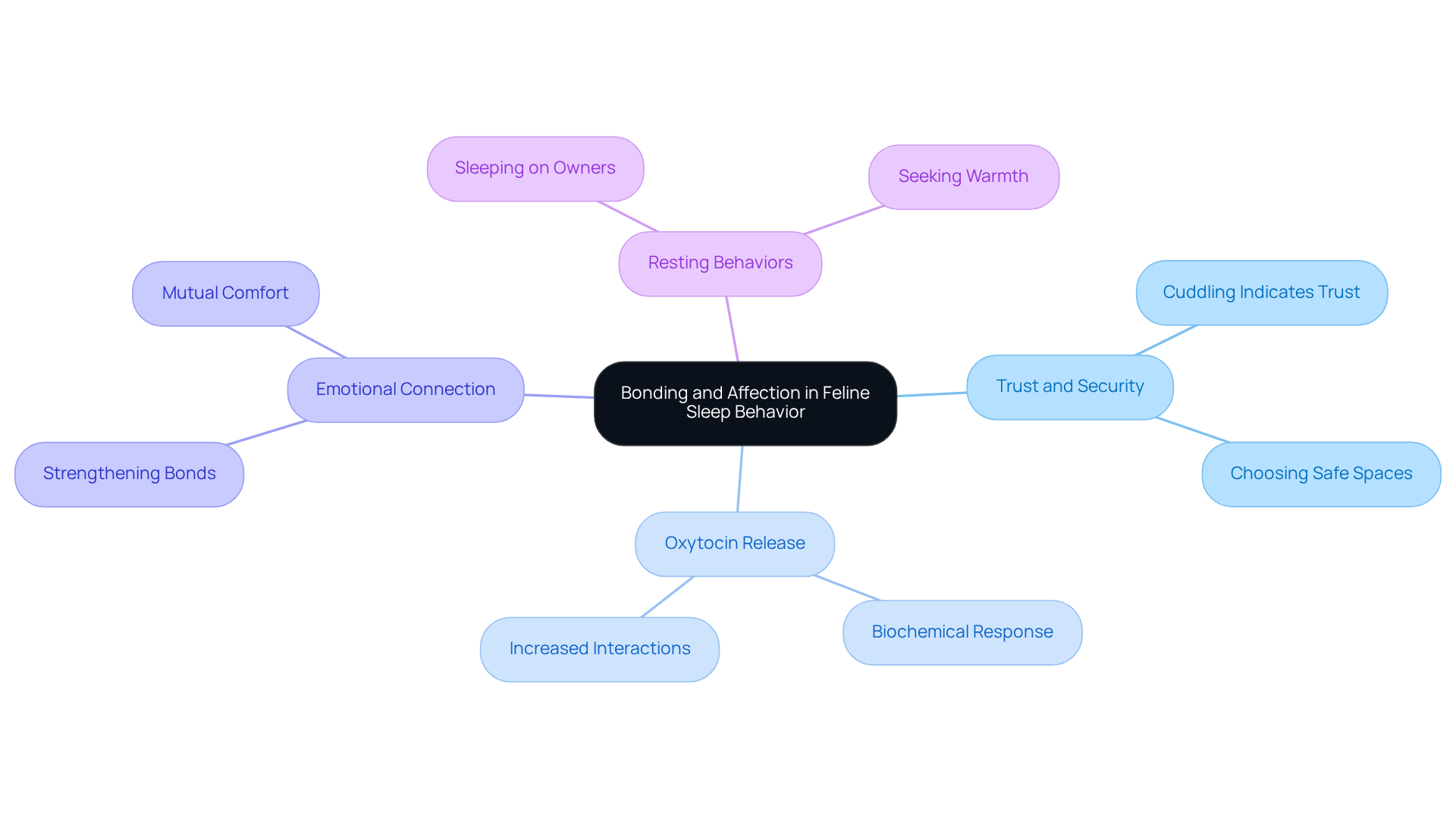 The central node represents the main idea of bonding and affection in feline sleep. Each branch explores related concepts, showing how they connect back to the main theme. It's a visual way to understand the depth of the relationship between cats and their owners. The central node represents the main idea of bonding and affection in feline sleep. Each branch explores related concepts, showing how they connect back to the main theme. It's a visual way to understand the depth of the relationship between cats and their owners.