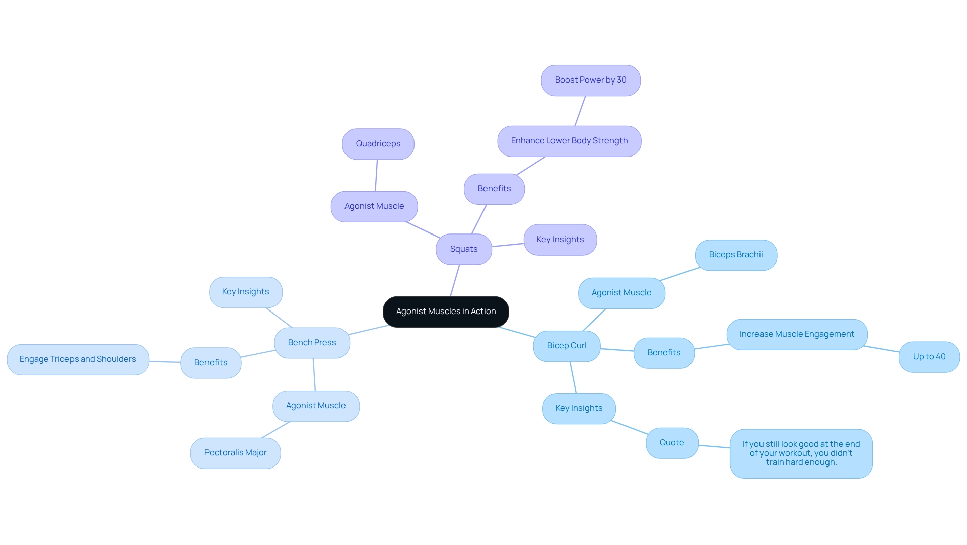 Each branch represents a key exercise, with sub-branches detailing the agonist muscle, benefits, and insights related to the exercise.