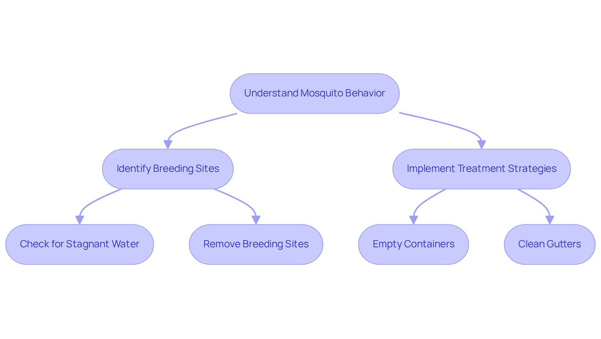 Follow the arrows to see how understanding mosquito behavior leads to actions you can take to reduce their breeding. Each step is designed to help you create a more enjoyable outdoor space. Follow the arrows to see how understanding mosquito behavior leads to actions you can take to reduce their breeding. Each step is designed to help you create a more enjoyable outdoor space.
