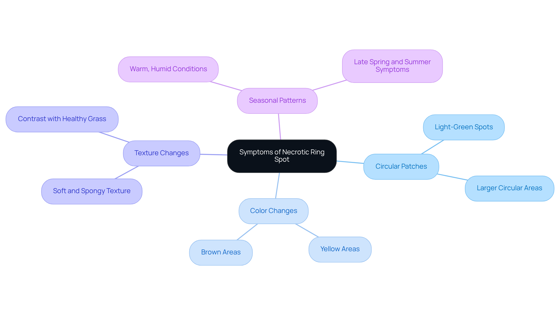 The center shows the main topic, and each branch represents a symptom of necrotic ring spot. Follow the branches to learn about each symptom and its specific signs.
