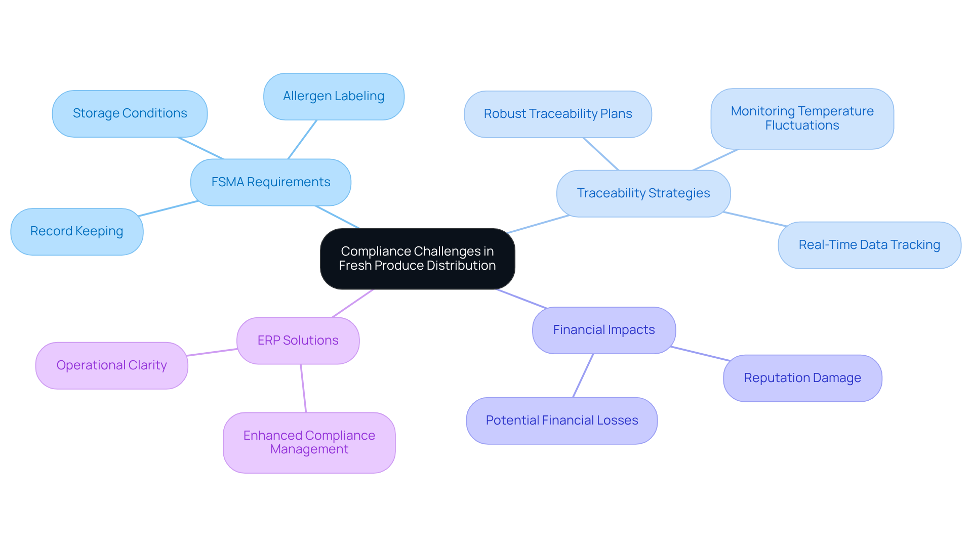 The central node represents the main compliance challenges, and each branch reveals specific areas of concern and strategies. This layout helps visualize how each component is interconnected, making it easier to understand the complexities involved. The central node represents the main compliance challenges, and each branch reveals specific areas of concern and strategies. This layout helps visualize how each component is interconnected, making it easier to understand the complexities involved.