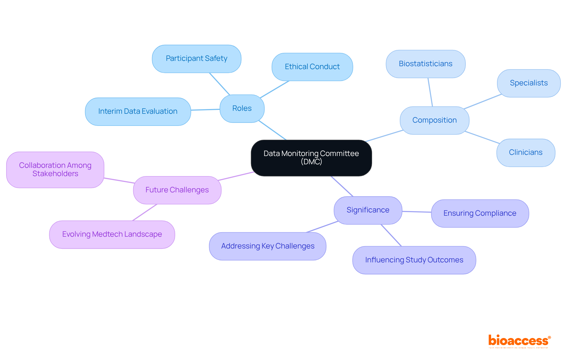 The central node represents the DMC, while the branches show its roles, who is involved, why it's important, and the challenges it faces. Follow the branches to understand how each part contributes to the overall function of the DMC.