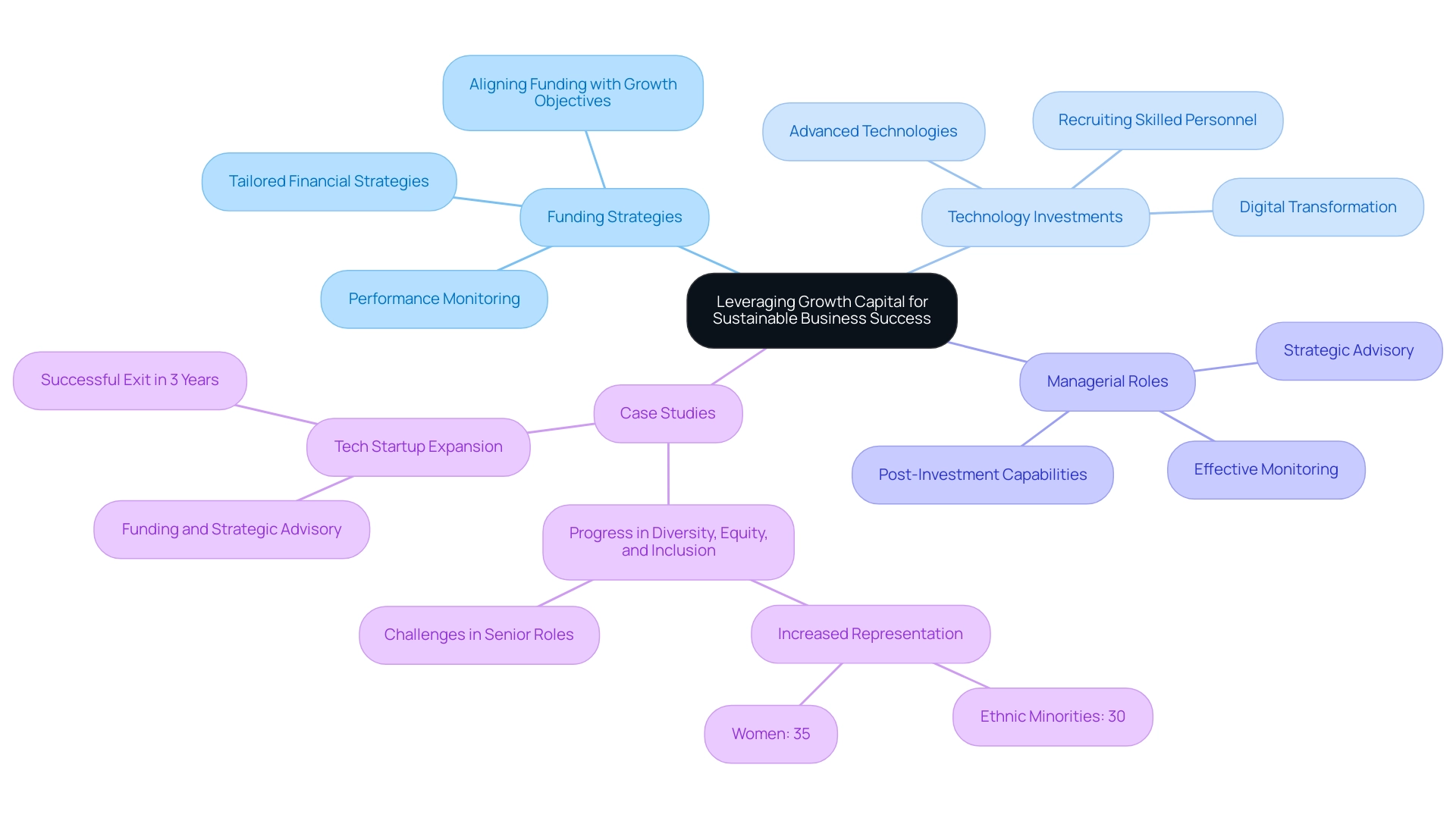 The central node represents the main theme, with branches illustrating key areas like funding strategies, technology investments, and managerial roles, each color-coded for clarity.